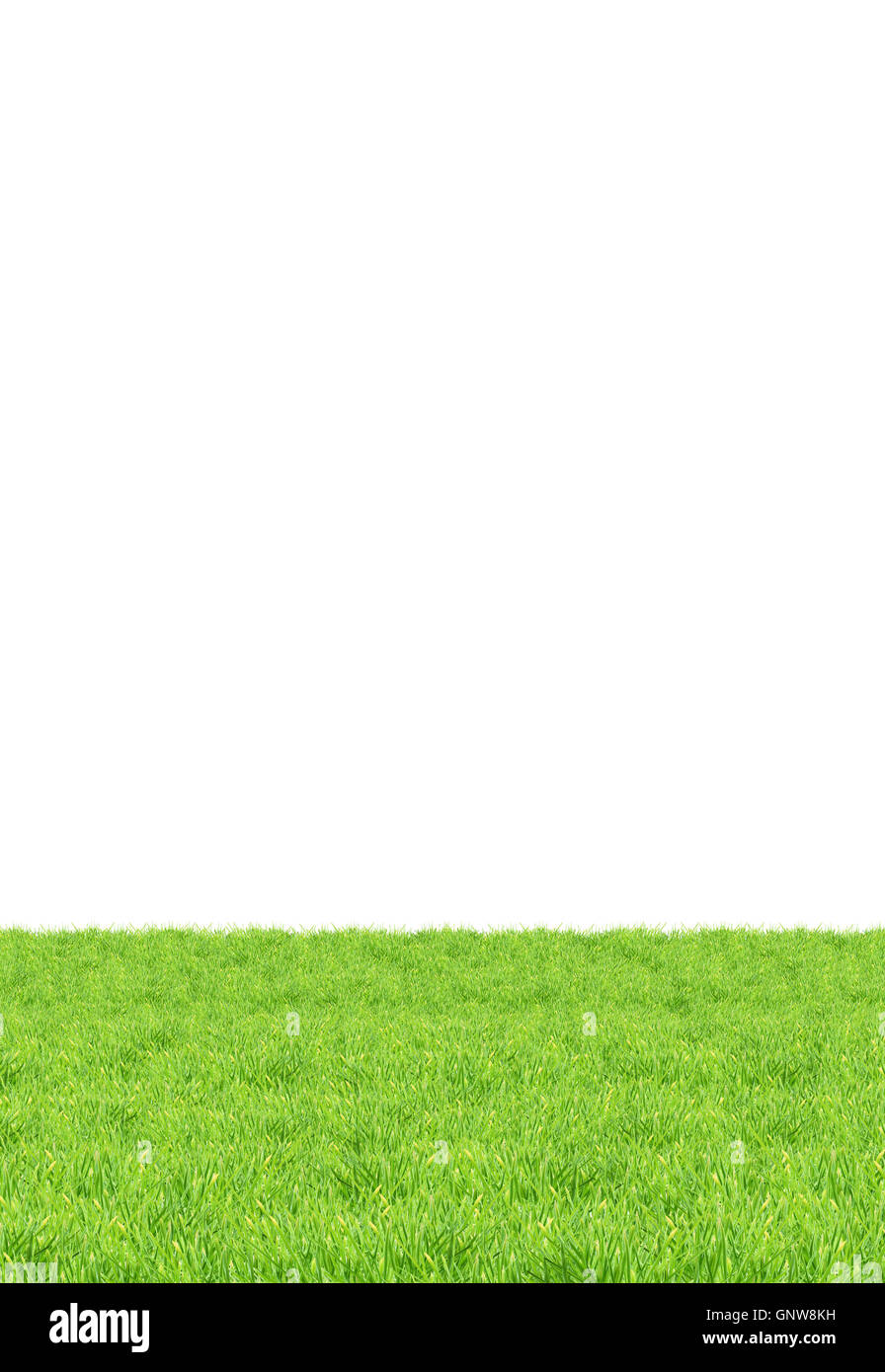 Isolated green grass Stock Photo - Alamy