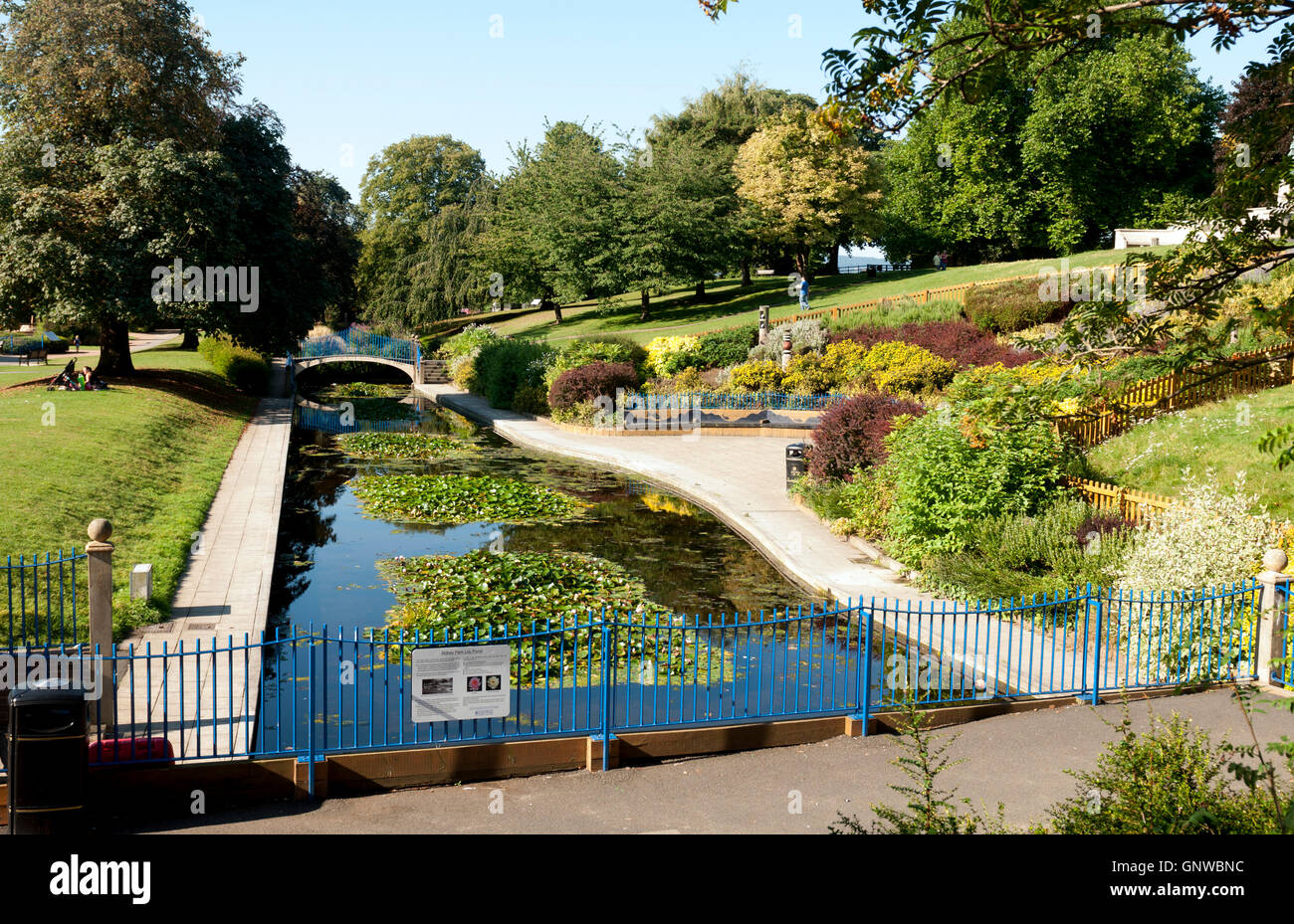 The lily pond, Abbey Park, Evesham, Worcestershire, England, UK Stock Photo - Alamy