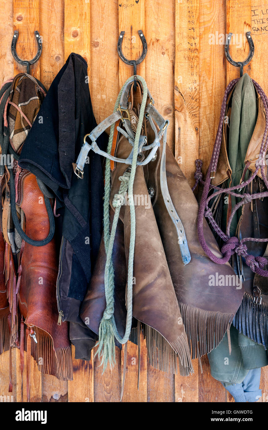 Cowboy chaps hi-res stock photography and images - Alamy