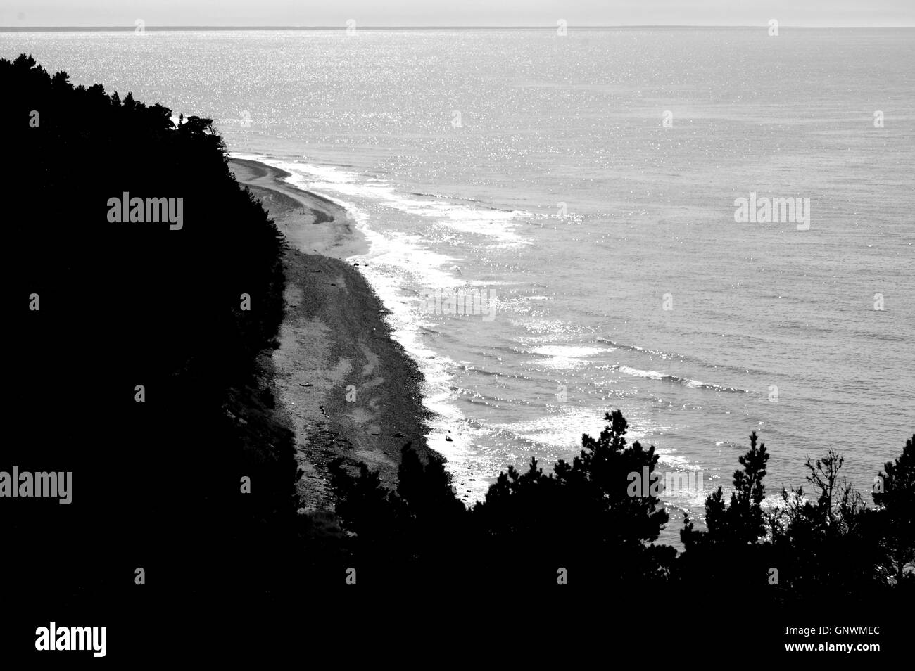 Beach, Seashore, Sea side, Strand, Seaboard, Sea, Ocean, Wild, Nature ...