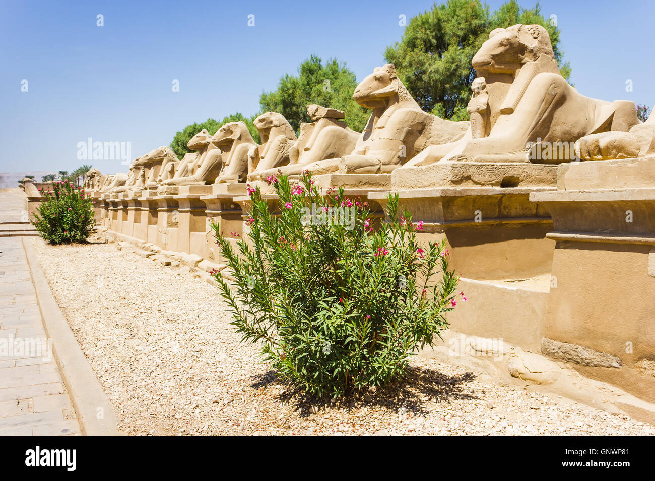 Ancient ruins of Karnak temple in Egypt Stock Photo - Alamy