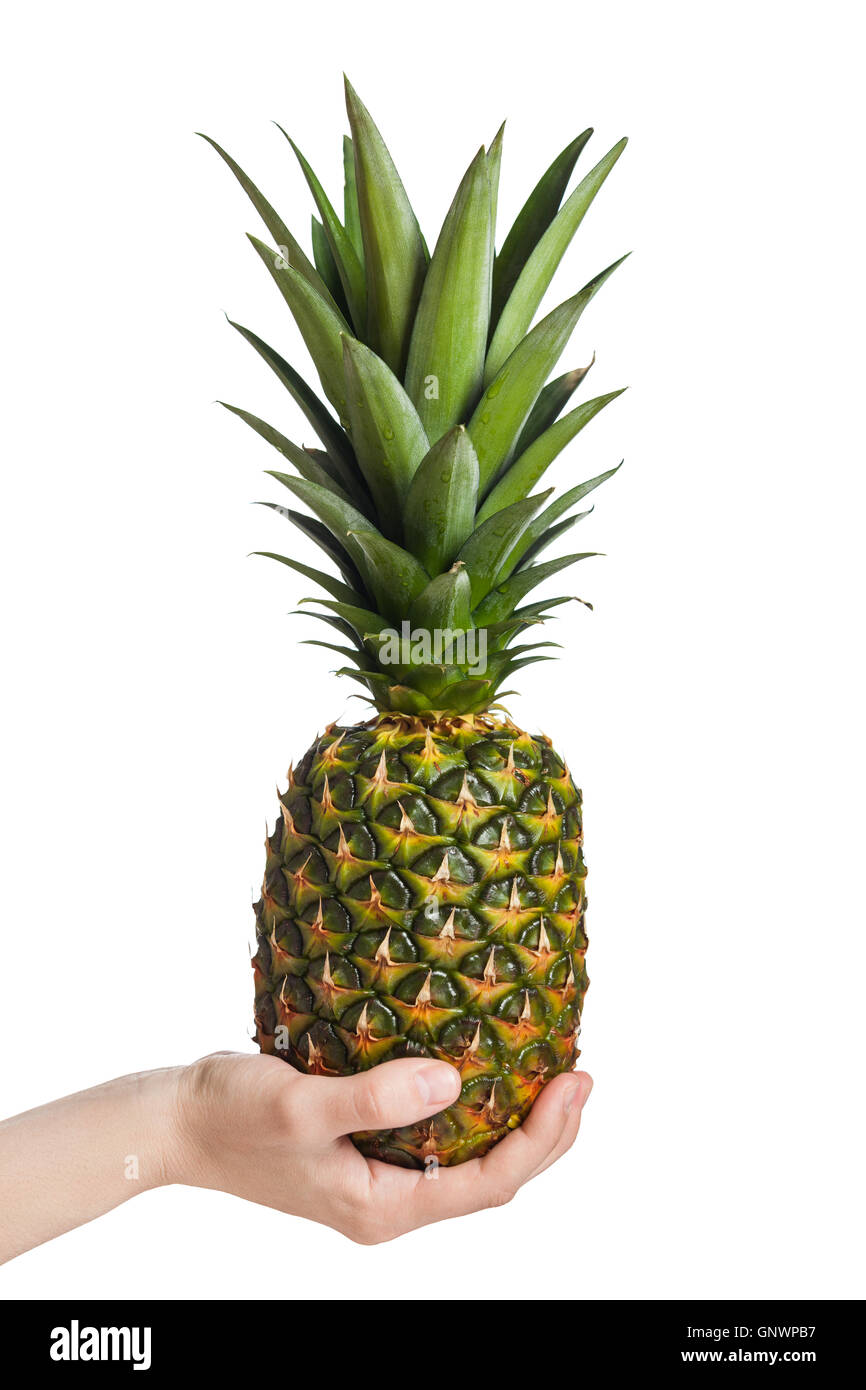 Hand taking food Cut Out Stock Images & Pictures - Alamy