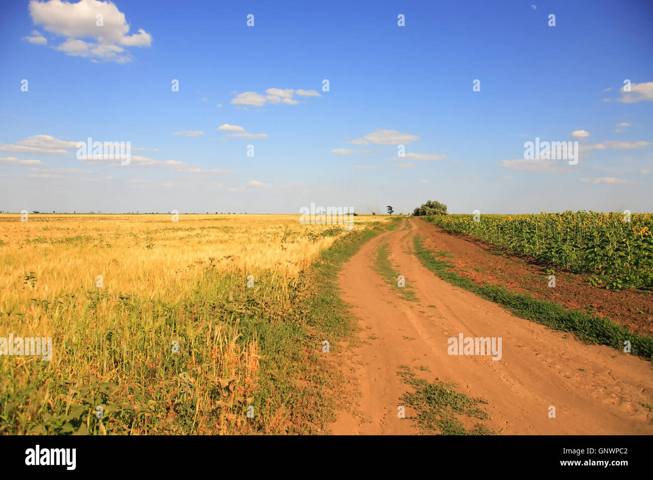 Rural village road in hi-res stock photography and images - Alamy