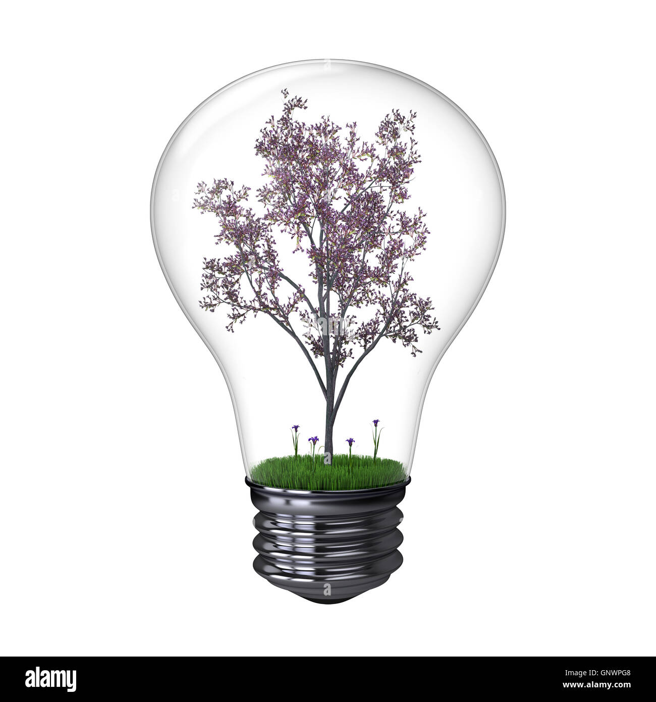 Growing plants inside Cut Out Stock Images & Pictures - Alamy