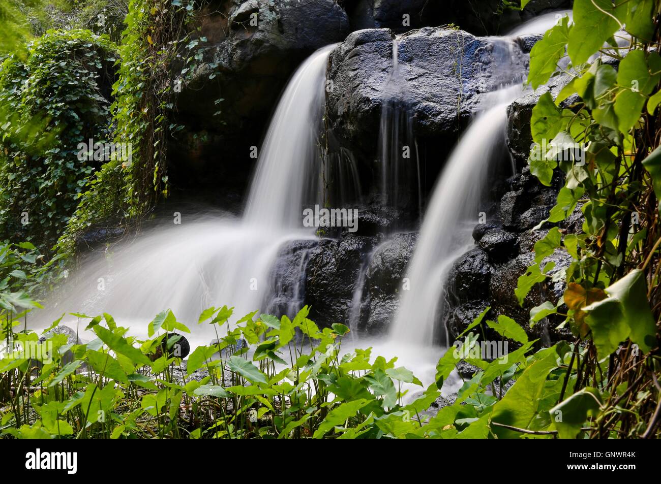 Waterfall in tropics Stock Photo - Alamy