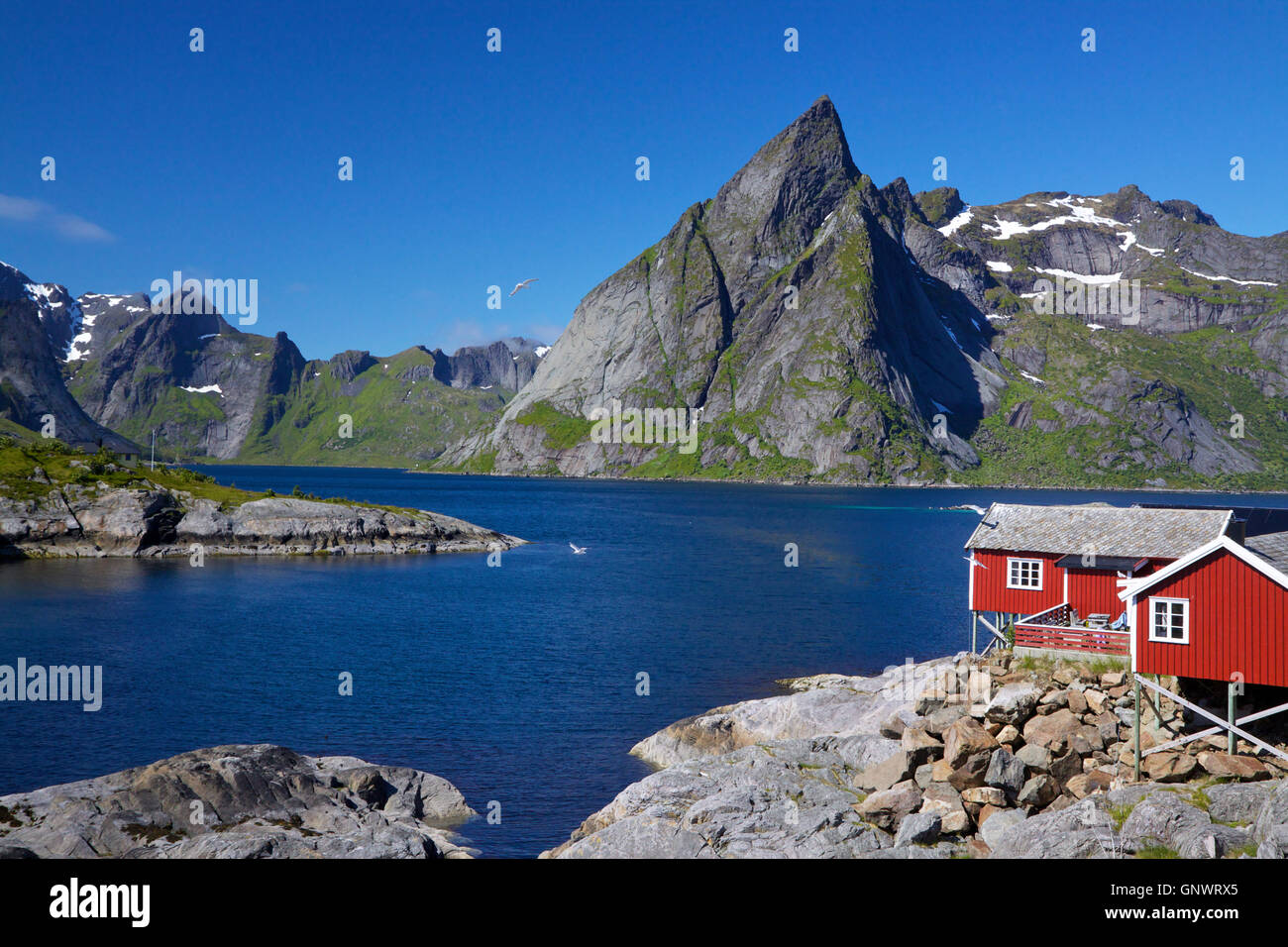 Fjord on Lofoten islands Stock Photo - Alamy