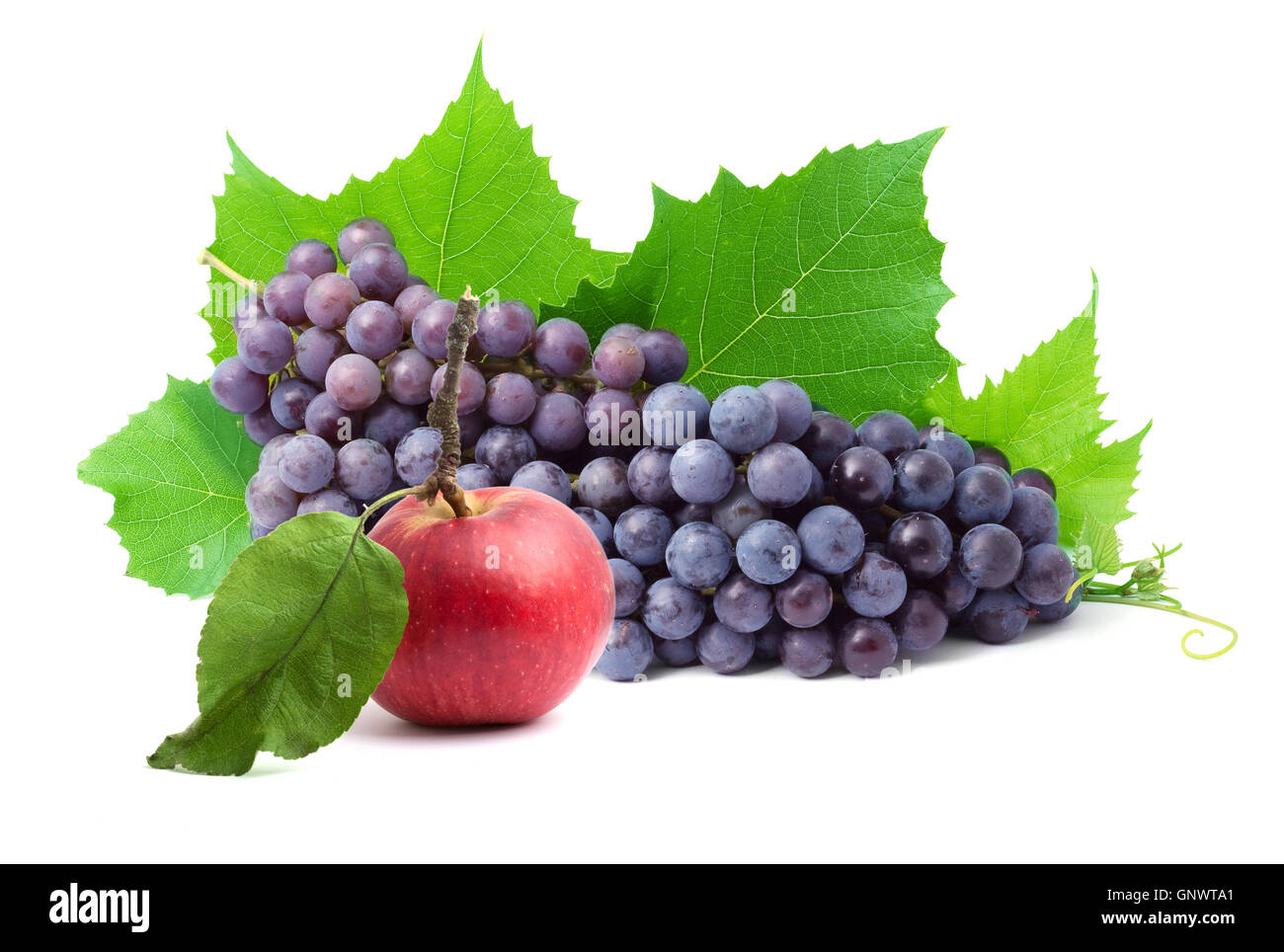 Colorful healthy fresh fruit Stock Photo - Alamy