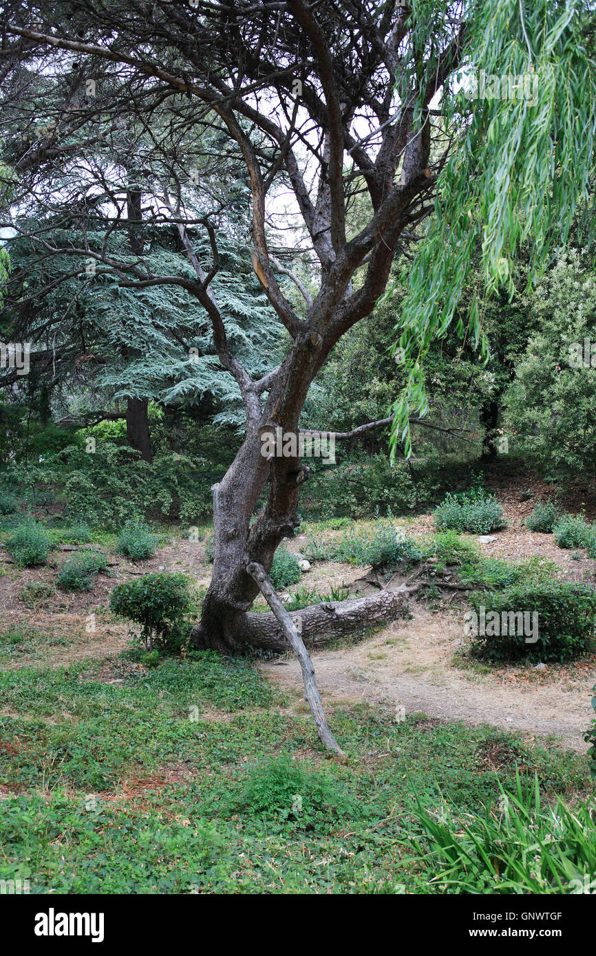The old botanical garden hi-res stock photography and images - Alamy