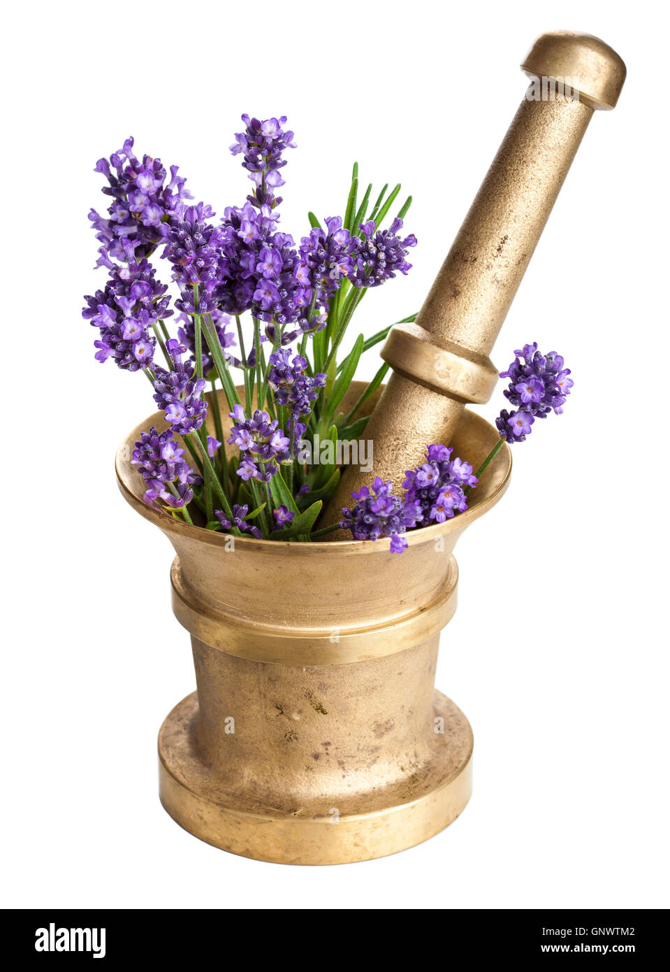 mortar with lavender isolated Stock Photo - Alamy