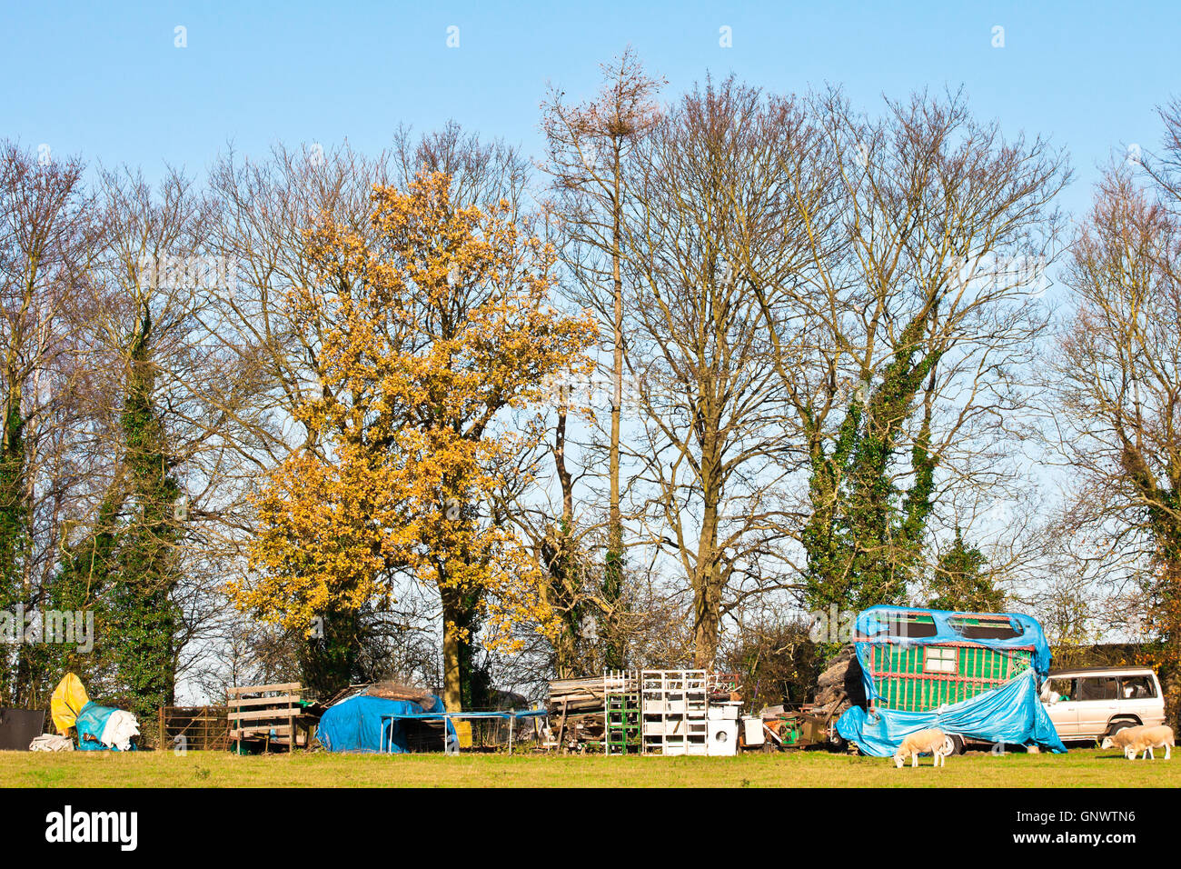 Gypsy caravan site hi-res stock photography and images - Alamy