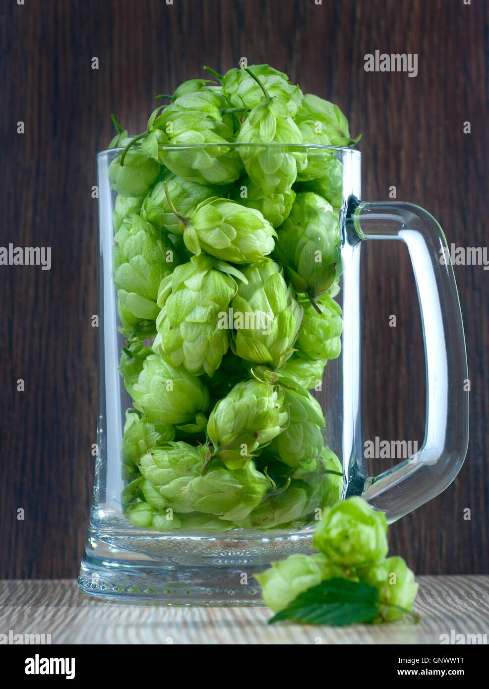 beer glass with hops close up Stock Photo - Alamy