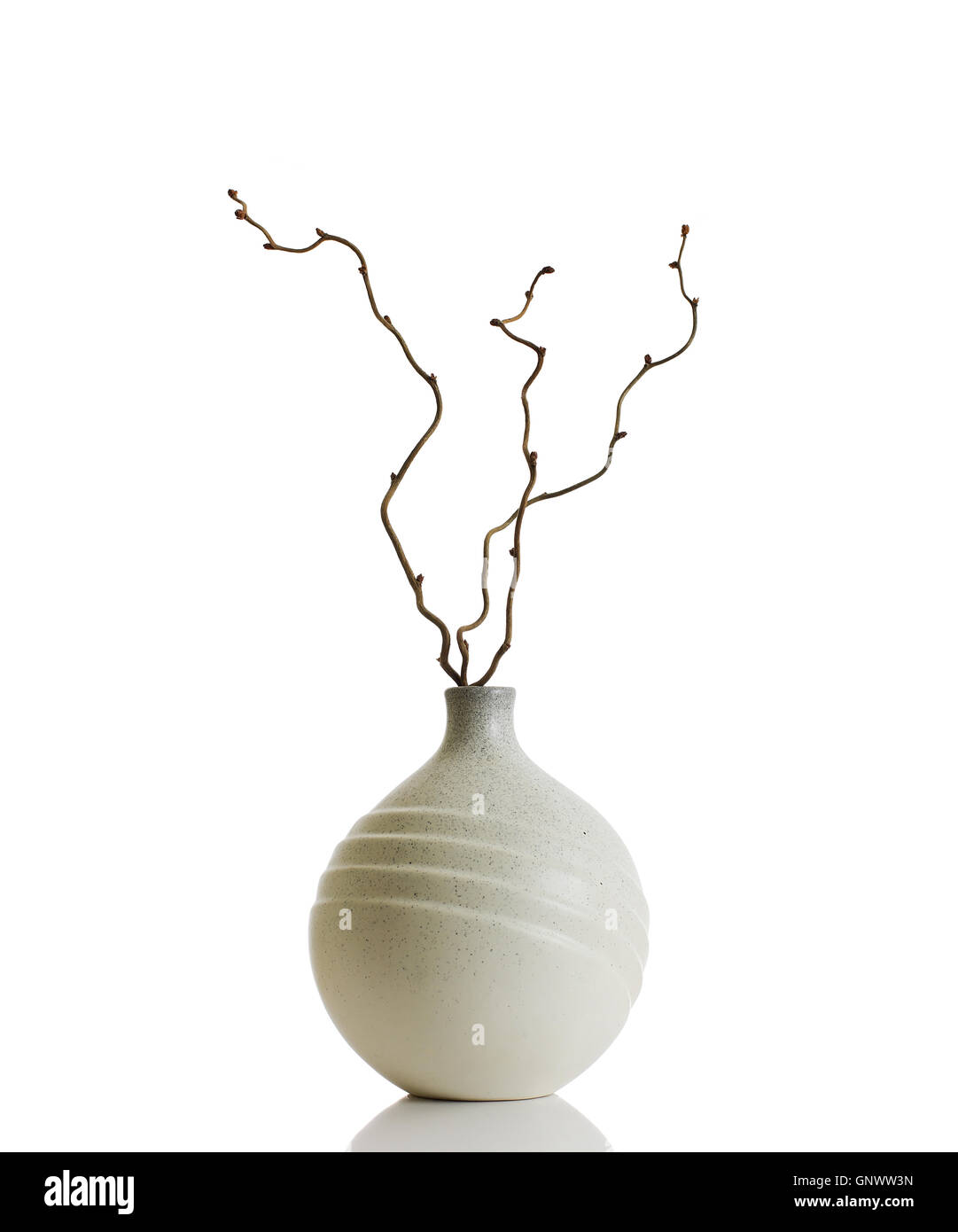 Single stem vases hi-res stock photography and images - Alamy