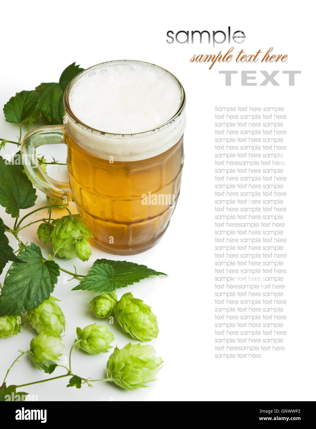 Beer and hop Stock Photo - Alamy