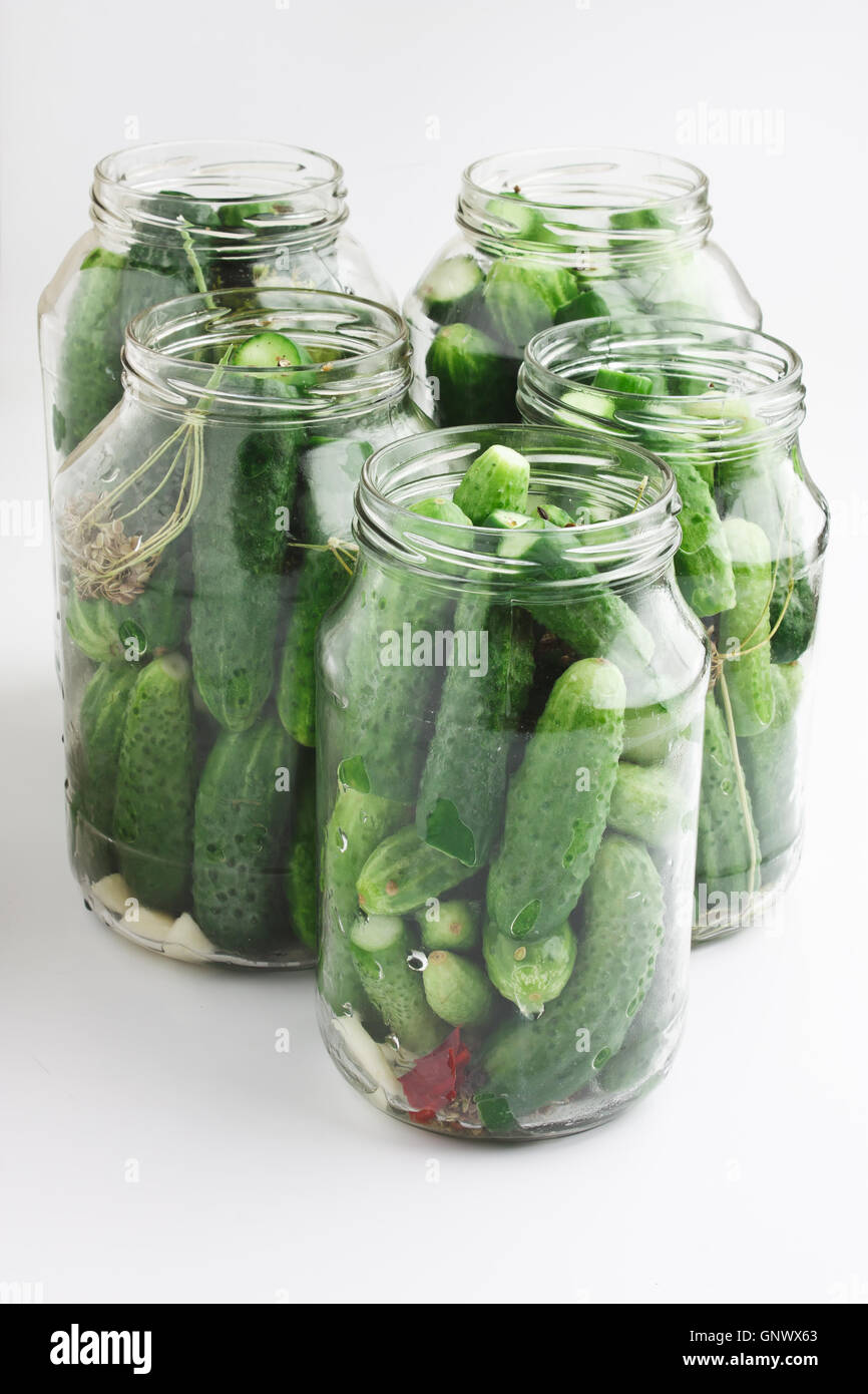 harvesting and canning cucumbers Stock Photo - Alamy