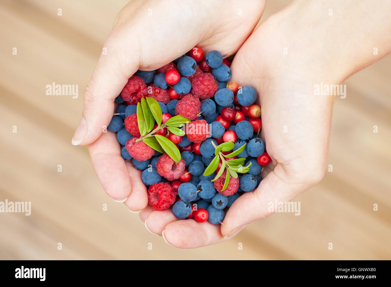 hands holding fresh berries Stock Photo - Alamy
