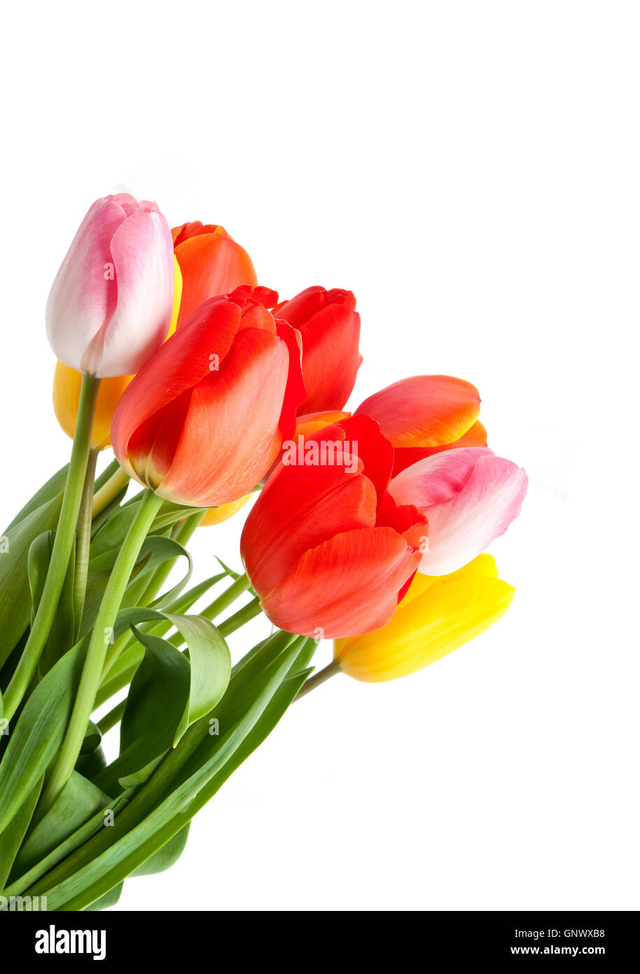 Bunch of tulips Stock Photo - Alamy