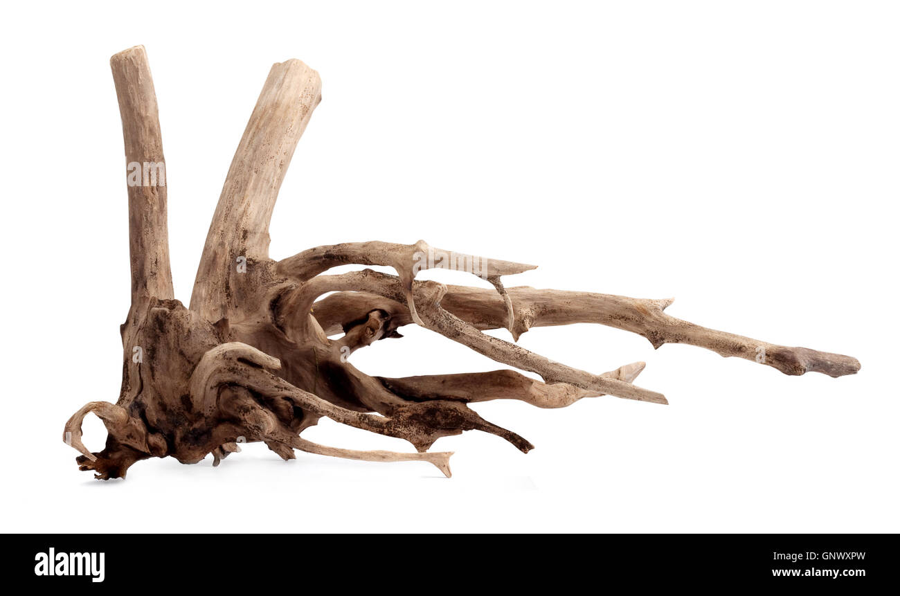 Snag hi-res stock photography and images - Alamy
