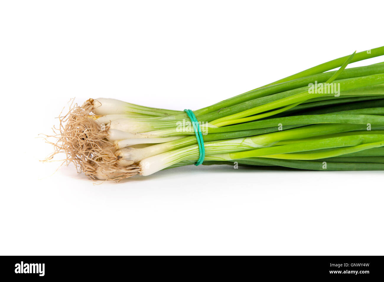 Scallions three hi-res stock photography and images - Alamy