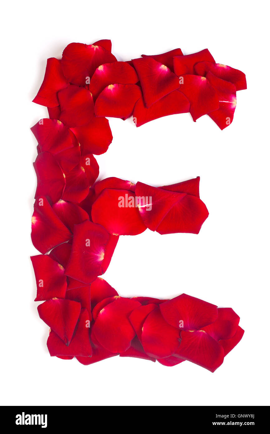 Letter E made from red petals rose on white Stock Photo - Alamy