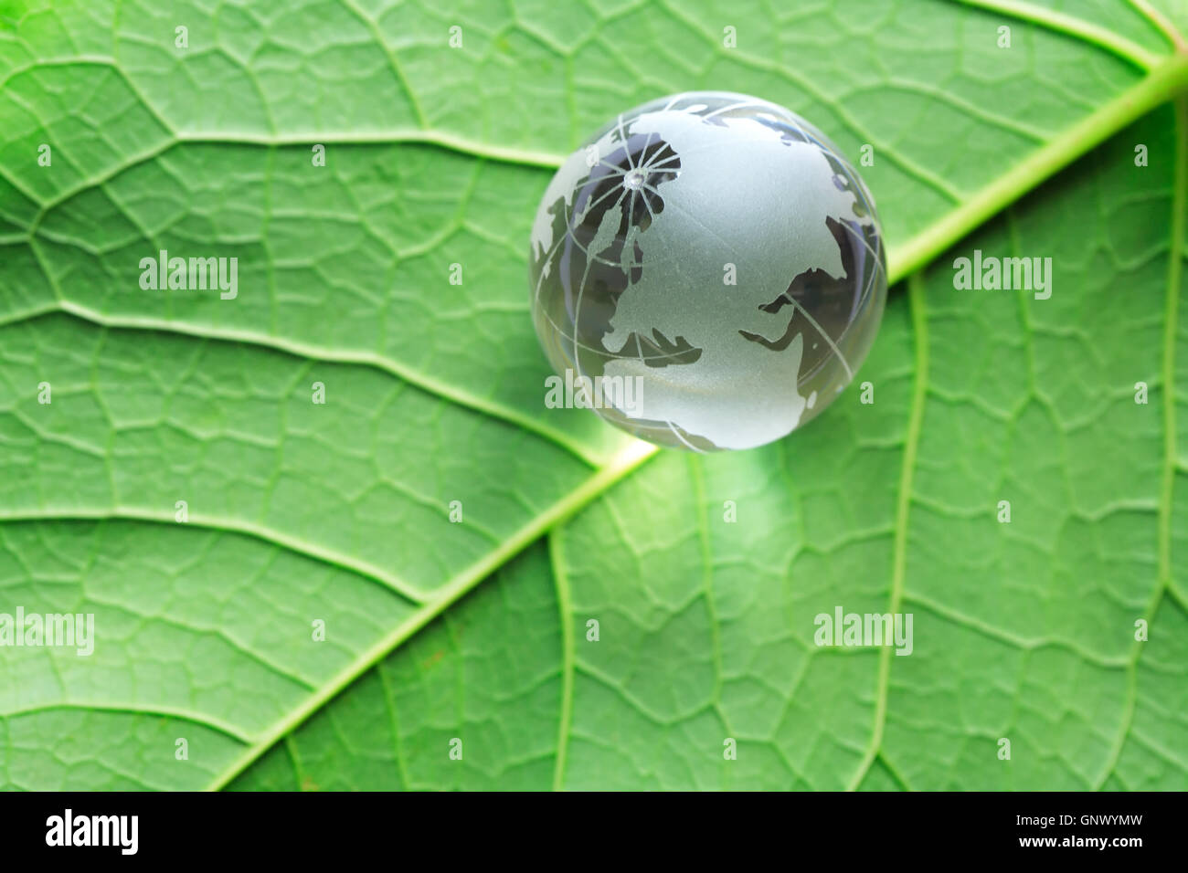 World leaf map hi-res stock photography and images - Alamy