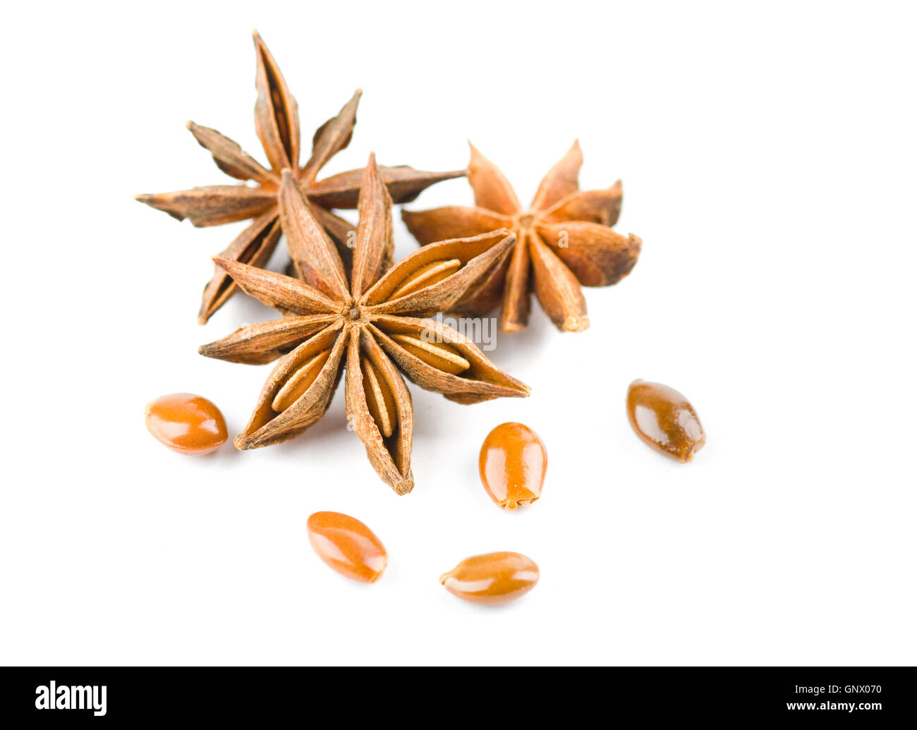 Dried star anise seeds Cut Out Stock Images & Pictures - Alamy