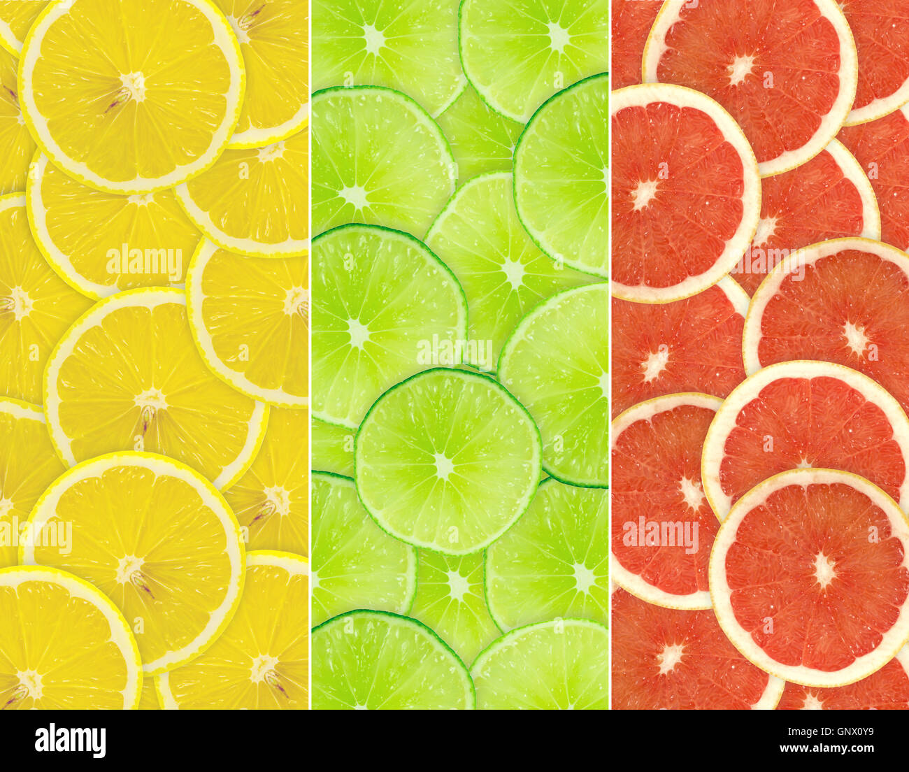 Abstract background of citrus slices. Closeup. Studio photograph Stock ...