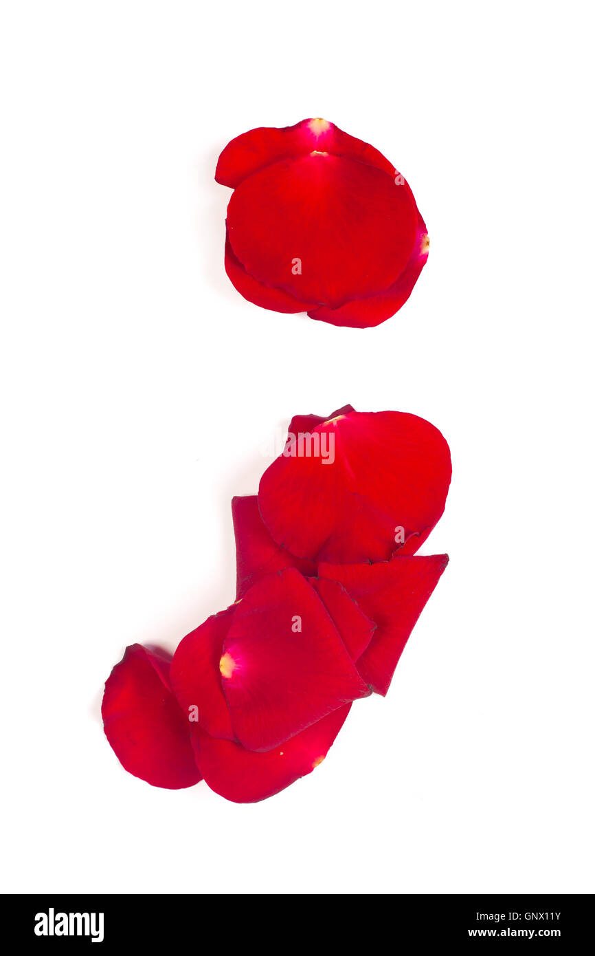 Alphabet with rose hi-res stock photography and images - Alamy