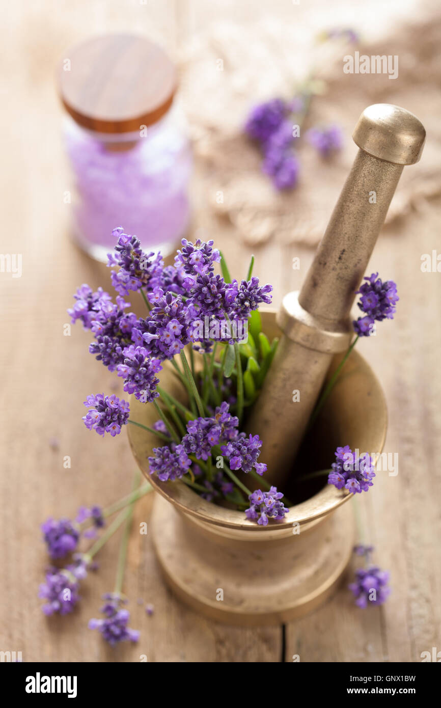 mortar with fresh lavender Stock Photo - Alamy
