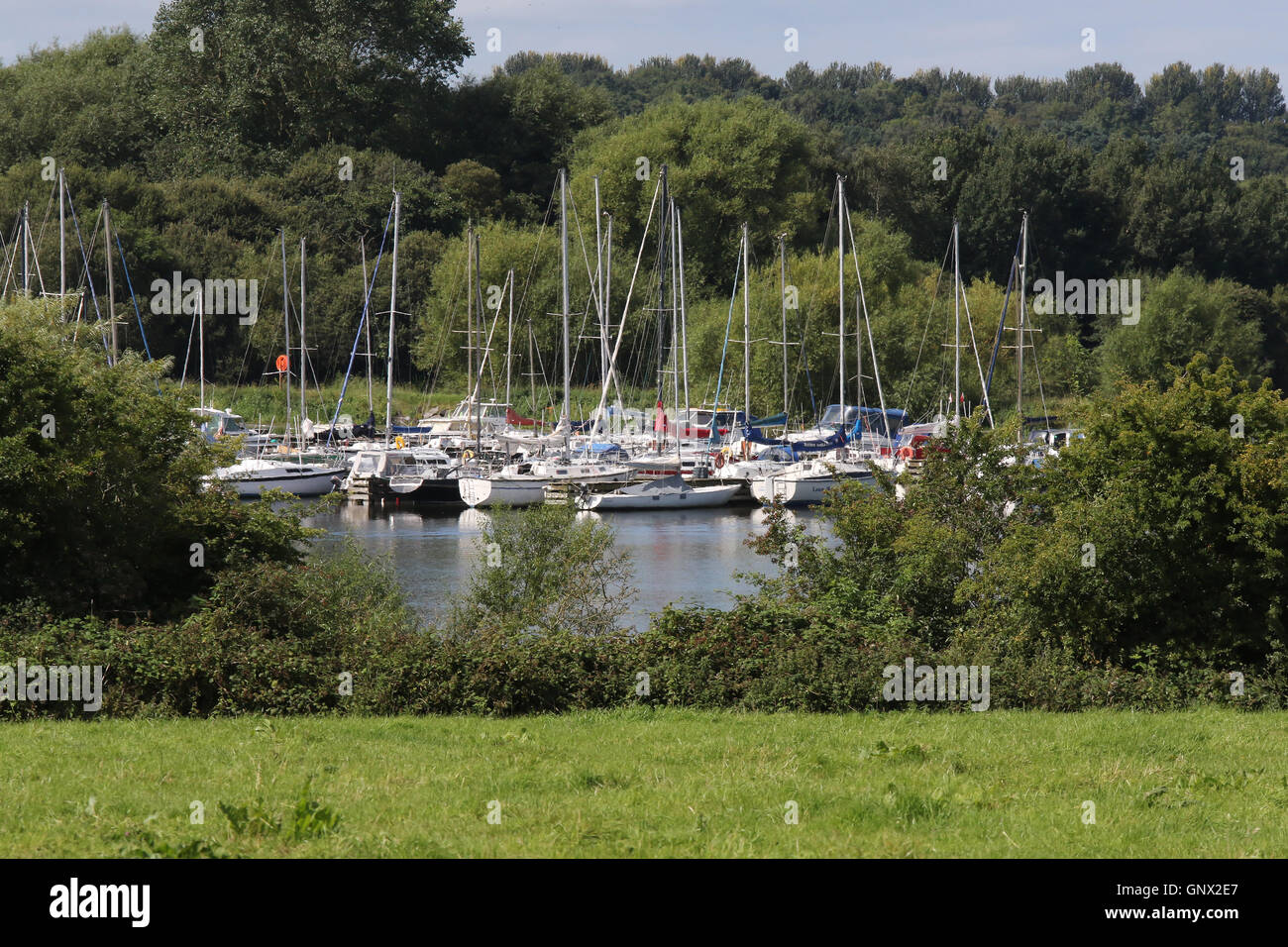 Lough Neagh Stock Photos & Lough Neagh Stock Images - Alamy