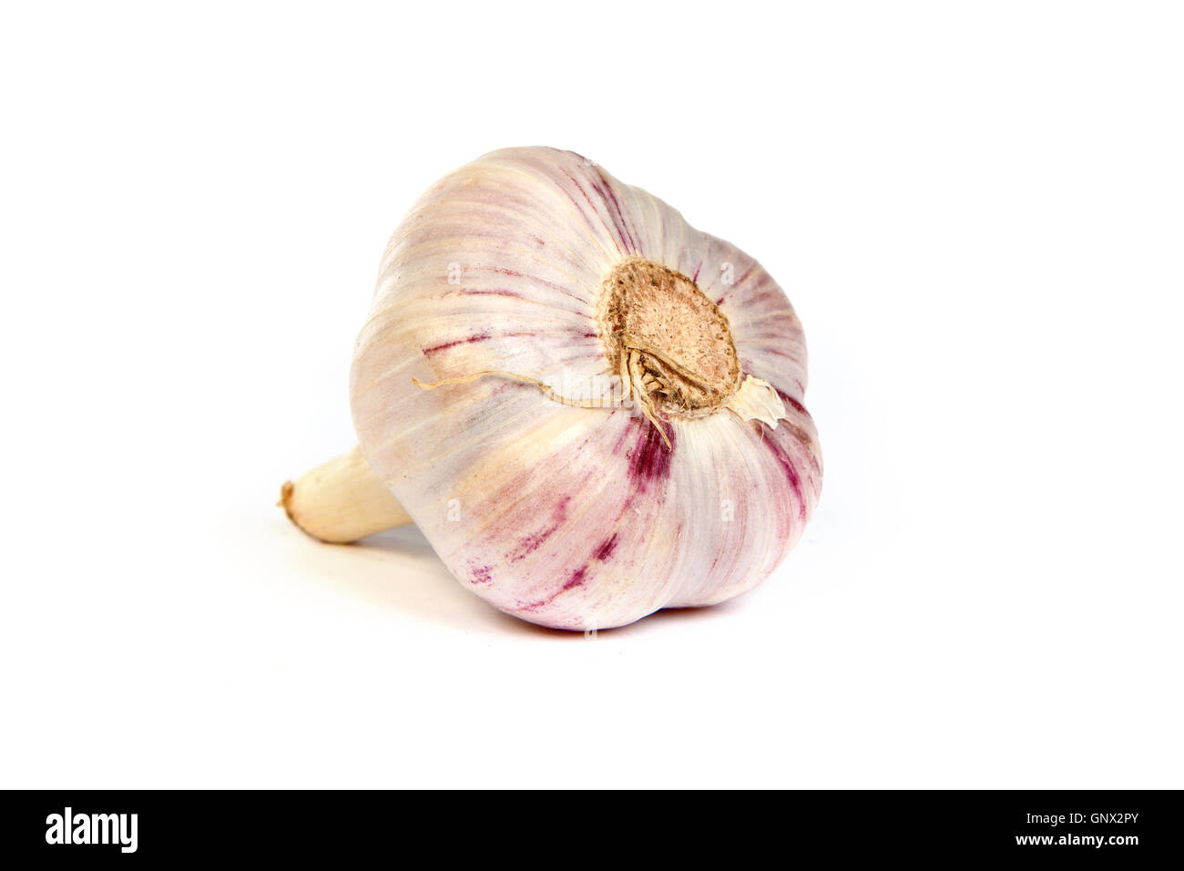 Close up head garlic Cut Out Stock Images & Pictures - Alamy