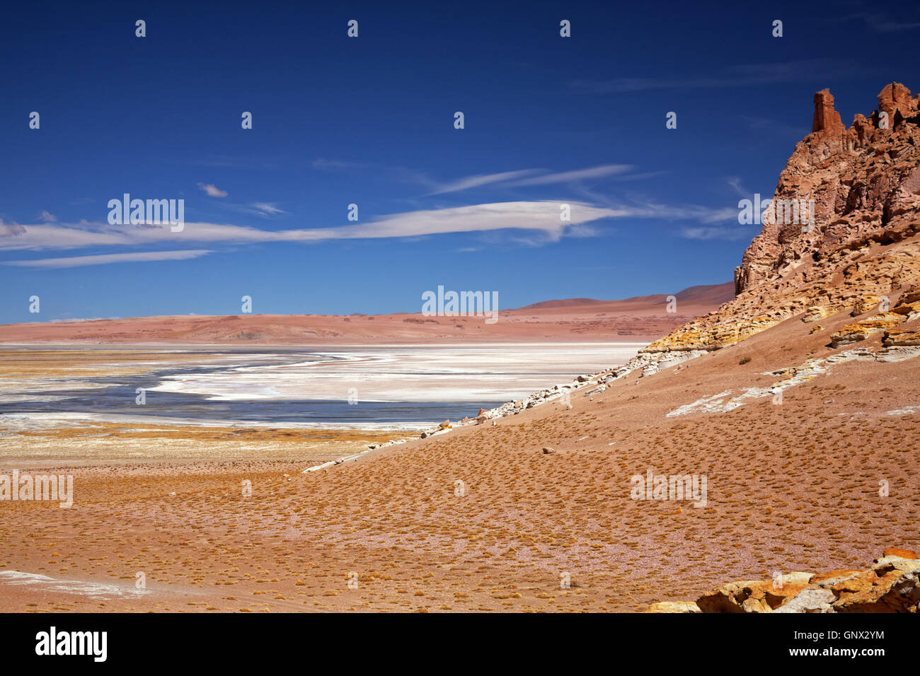 salt lake Salar de Tara, Chile Stock Photo - Alamy