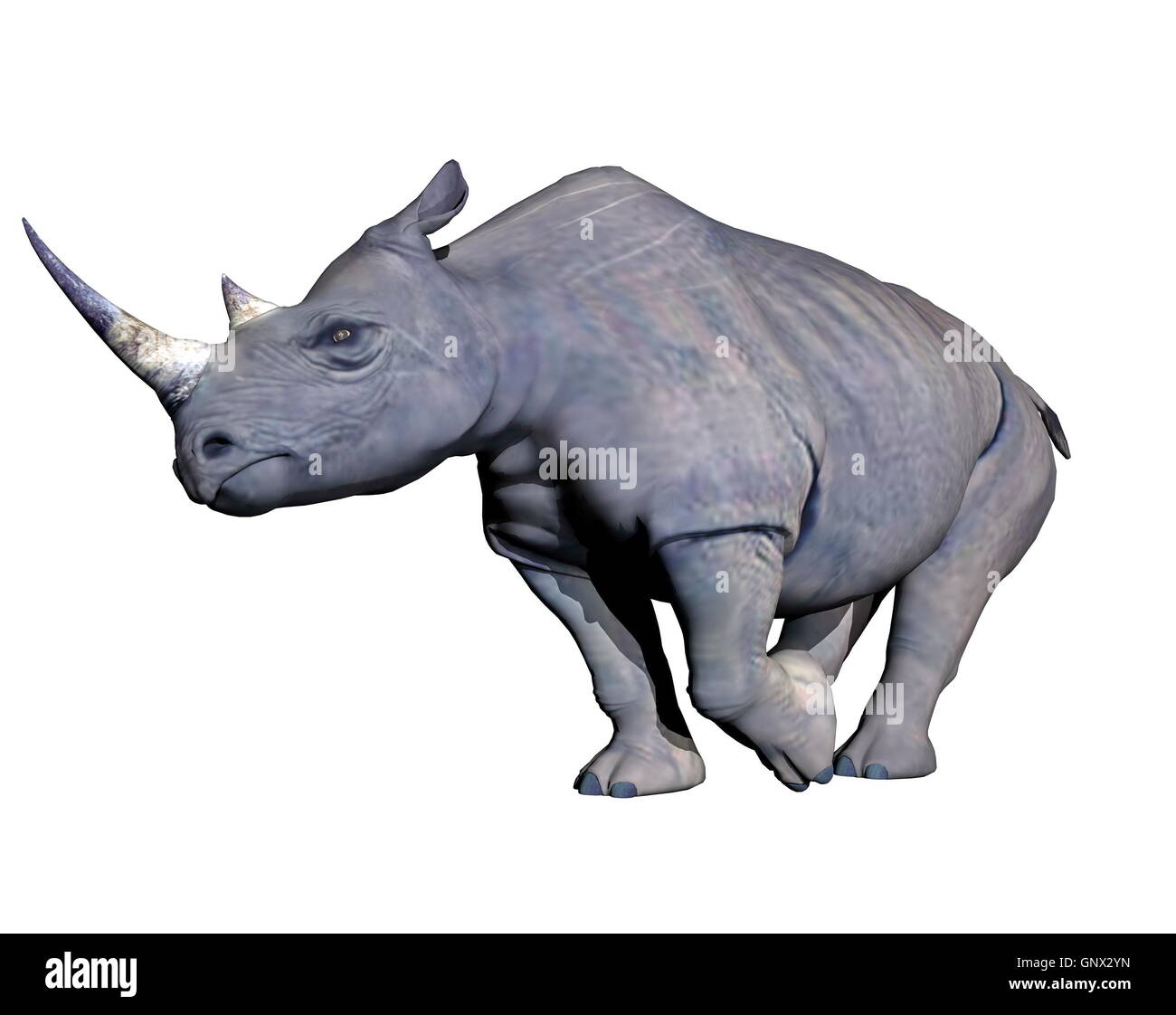 White rhino charging hi-res stock photography and images - Alamy