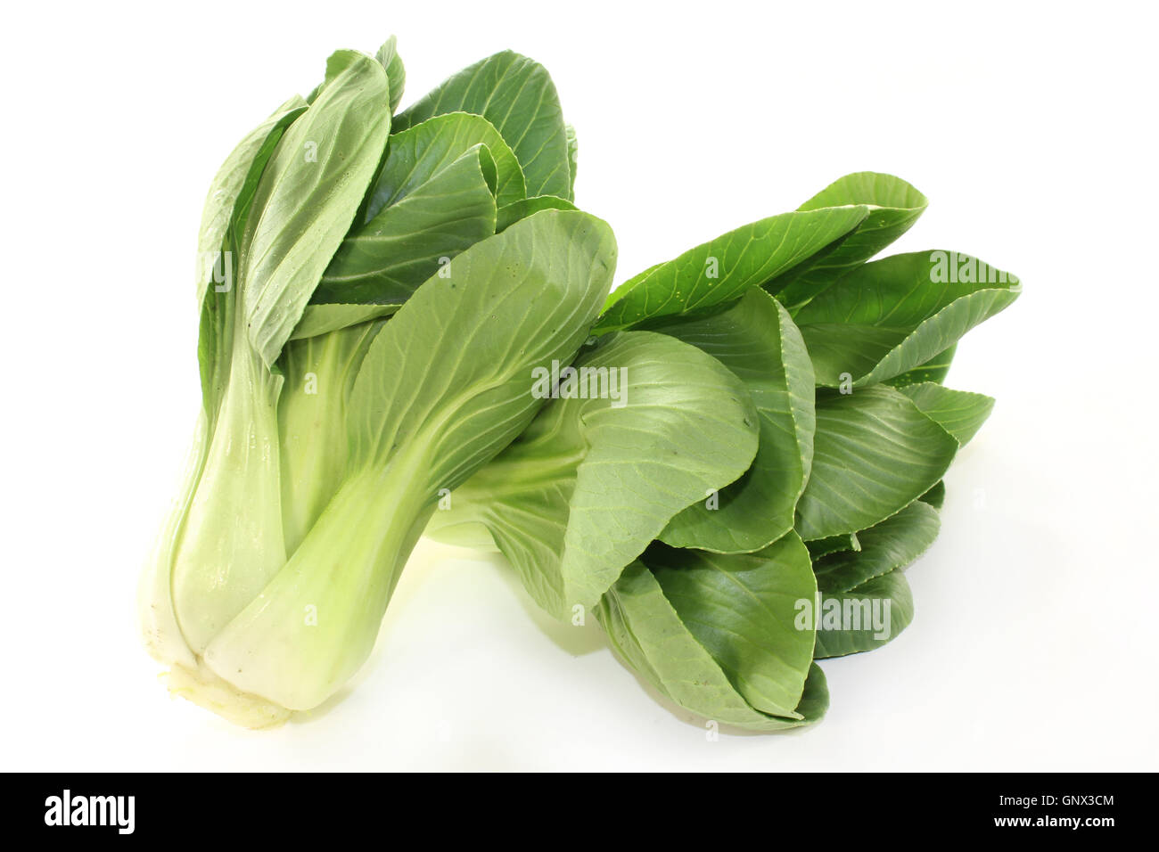 Pak choi plant Cut Out Stock Images & Pictures - Alamy