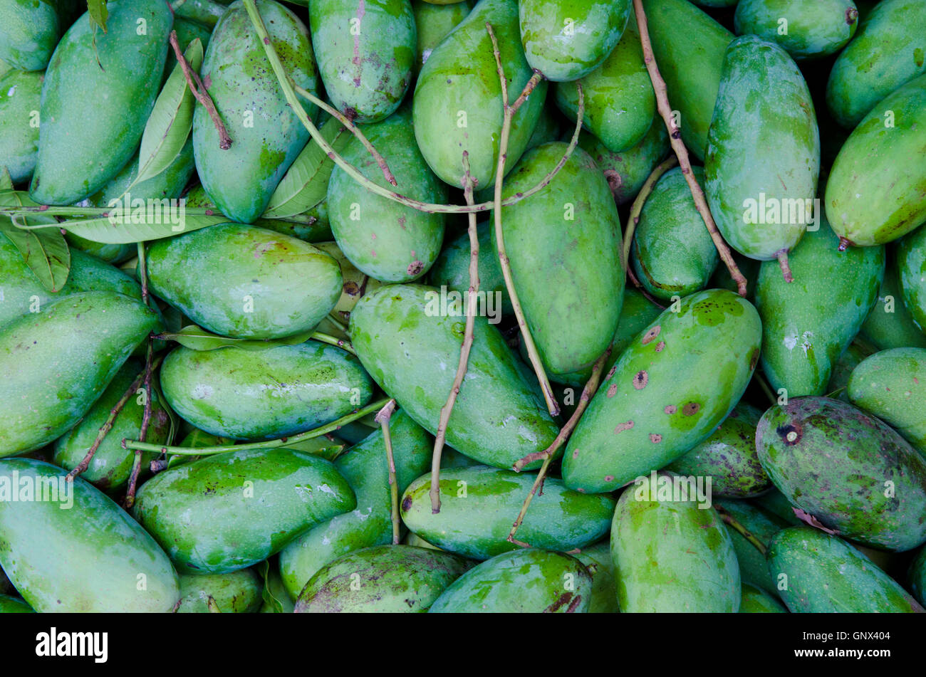 Mango market hi-res stock photography and images - Alamy
