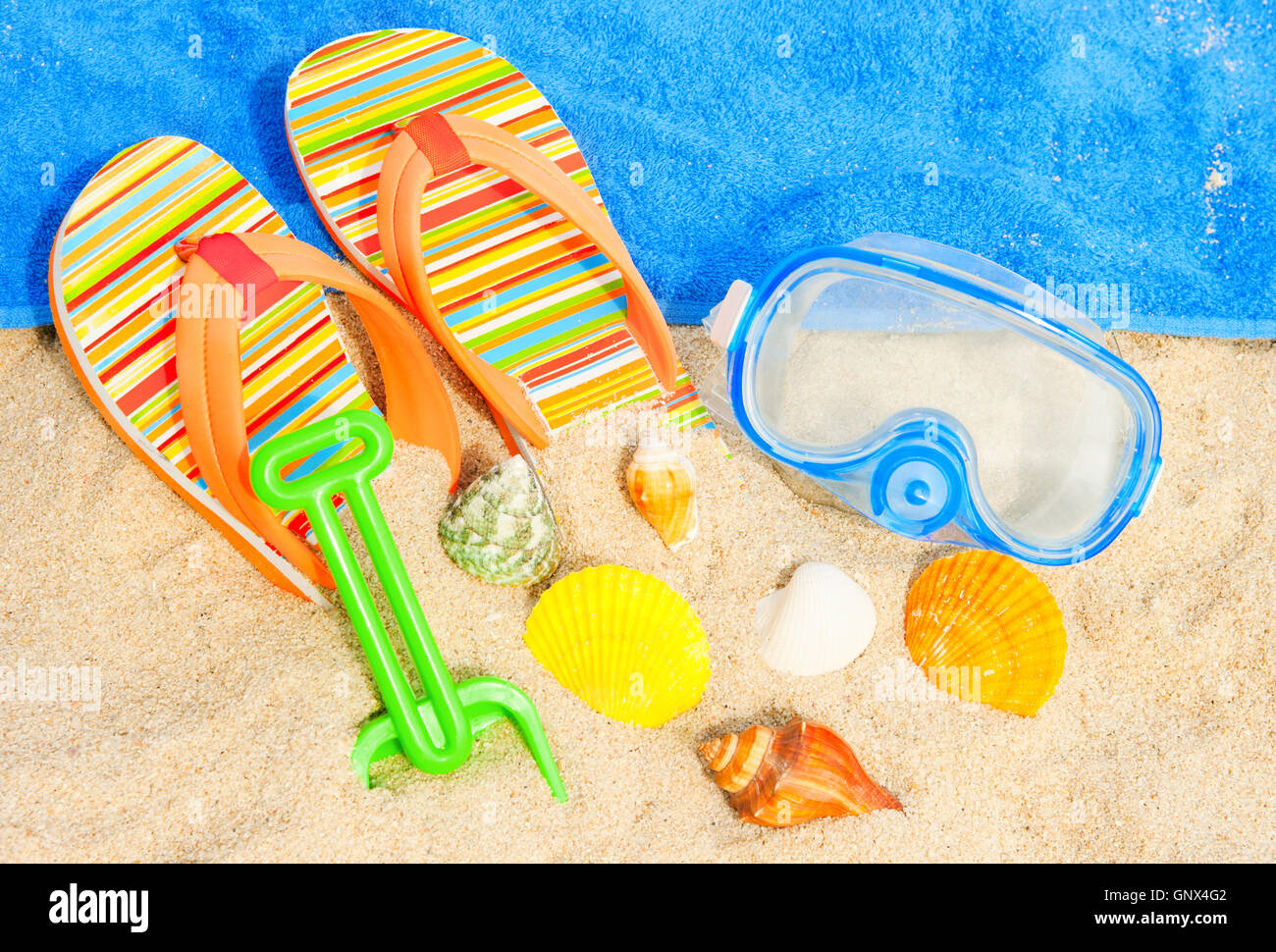 Seashells and diving mask on the beach Stock Photo - Alamy