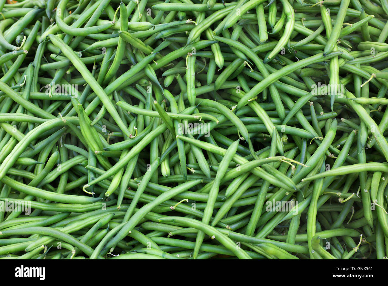 Green String Beans Stock Photo - Alamy