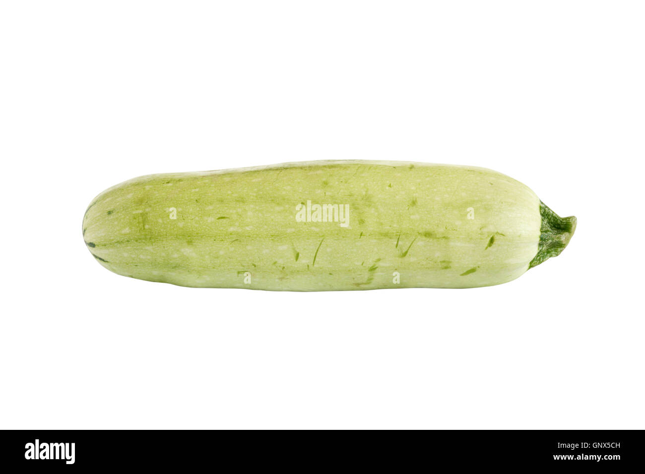 Marrow squash hi-res stock photography and images - Alamy