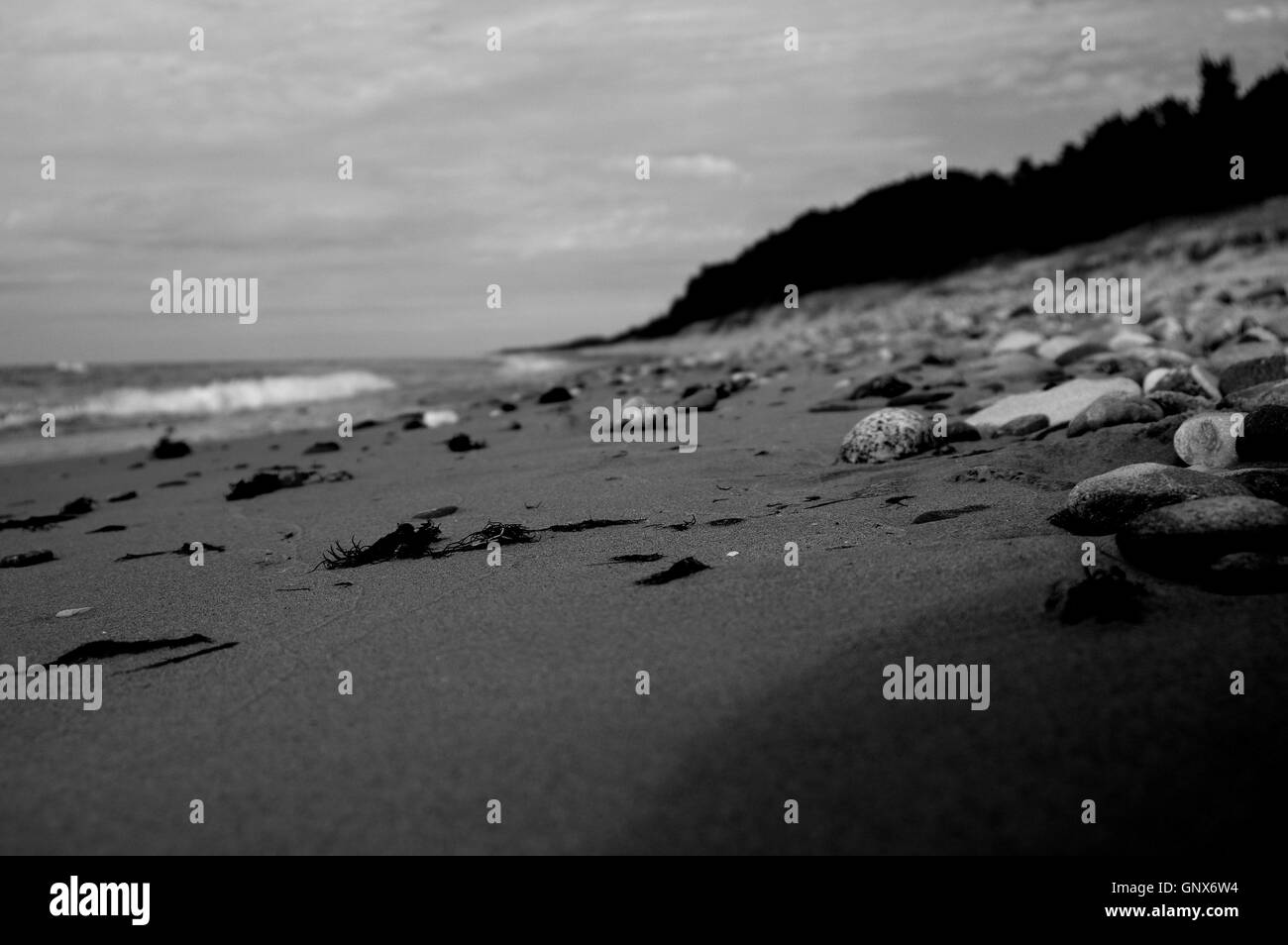 Beach, Seashore, Sea side, Strand, Seaboard, Sea, Ocean, Wild, Nature ...