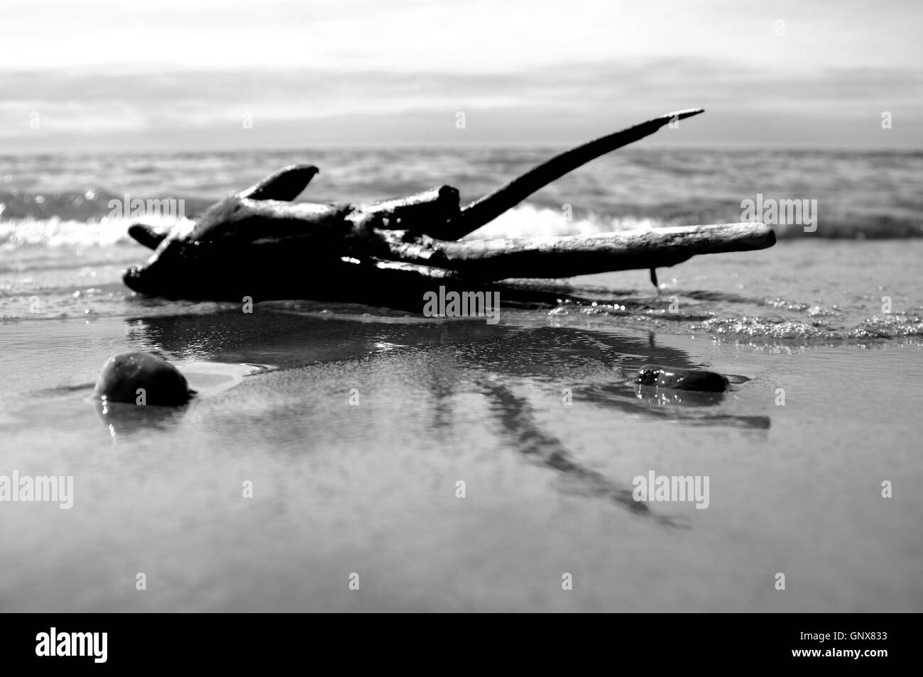 Beach, Seashore, Sea side, Strand, Seaboard, Sea, Ocean, Wild, Nature ...