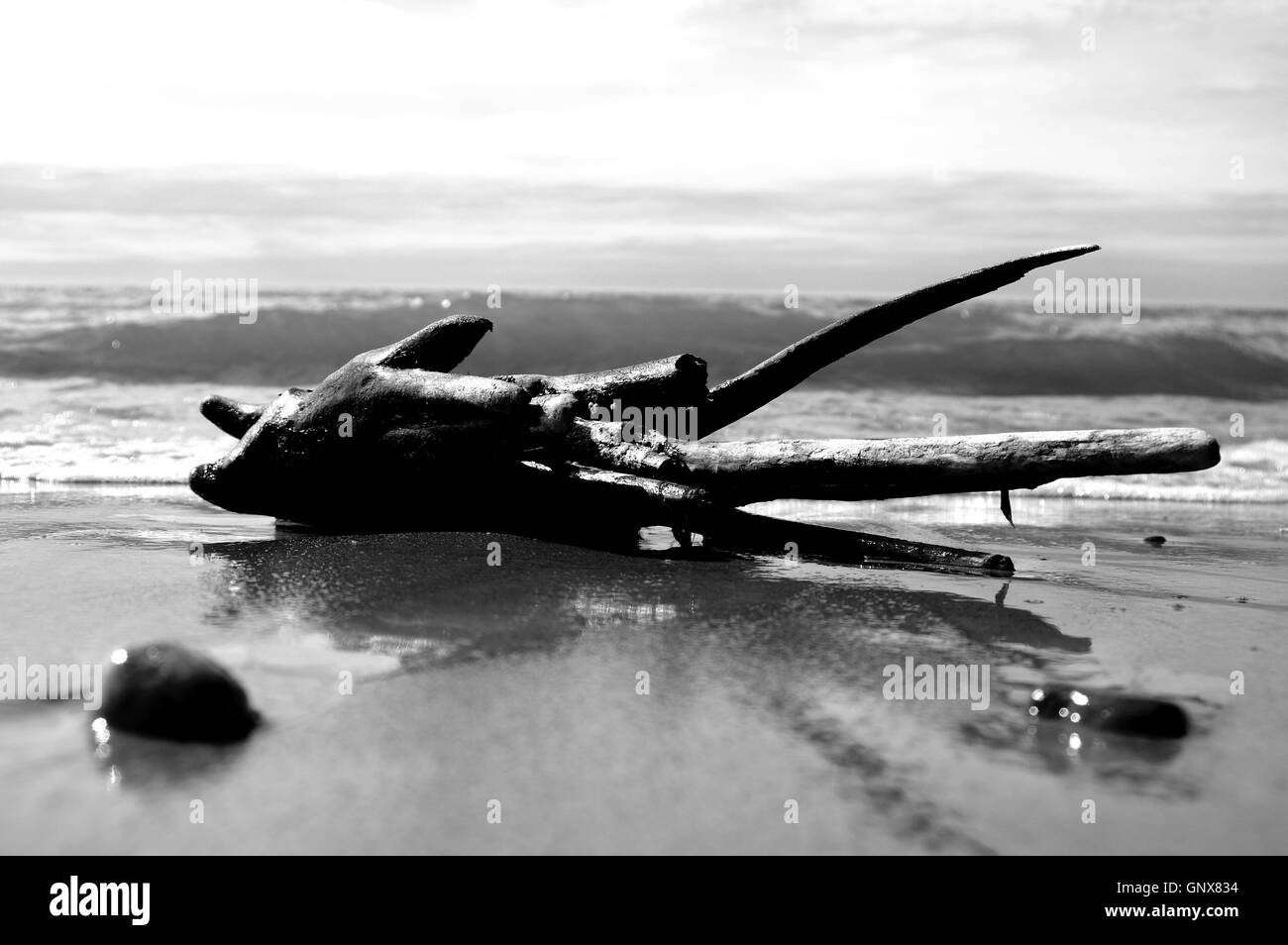 Beach, Seashore, Sea side, Strand, Seaboard, Sea, Ocean, Wild, Nature ...