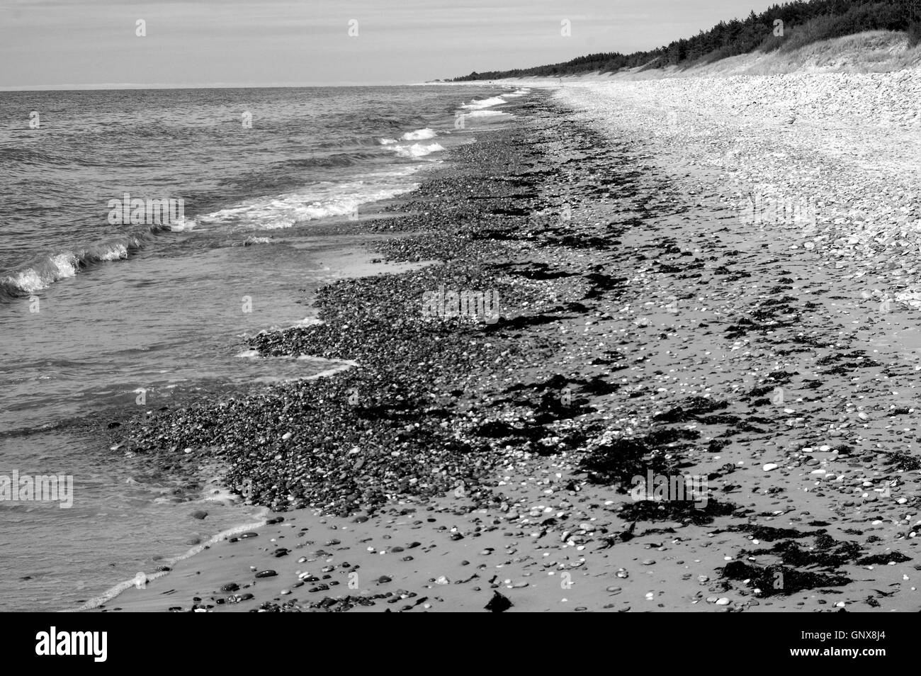 Beach, Seashore, Sea side, Strand, Seaboard, Sea, Ocean, Wild, Nature ...