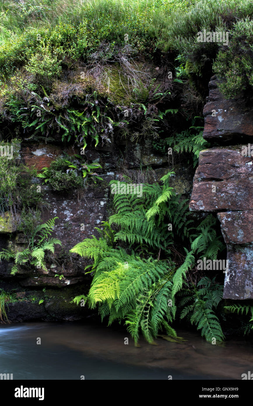 Waterfall at Three Shires Head and Panniers Pool Peak District Stock ...