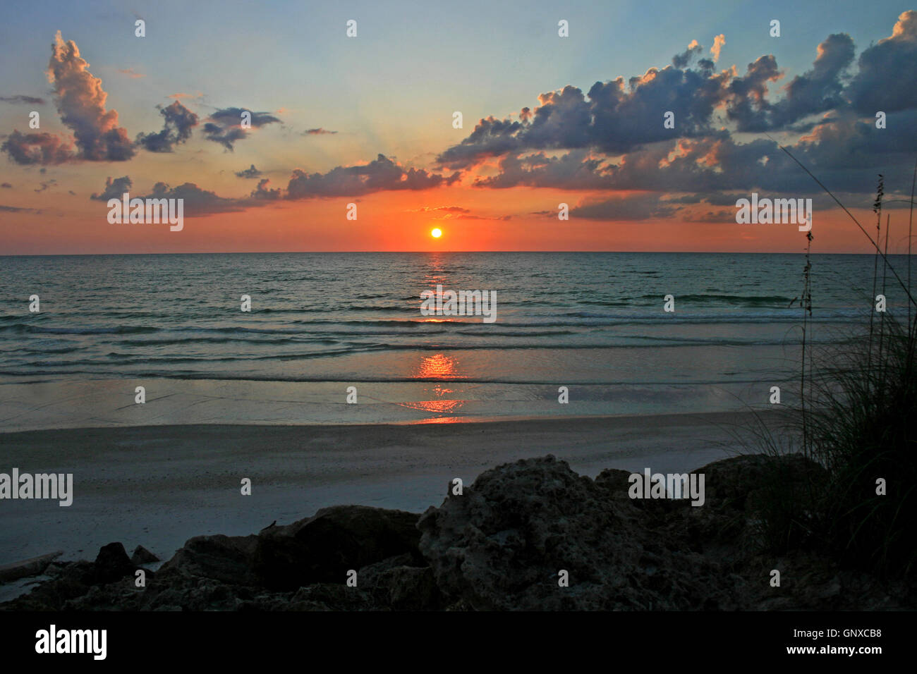 Rocks reeds hi-res stock photography and images - Alamy