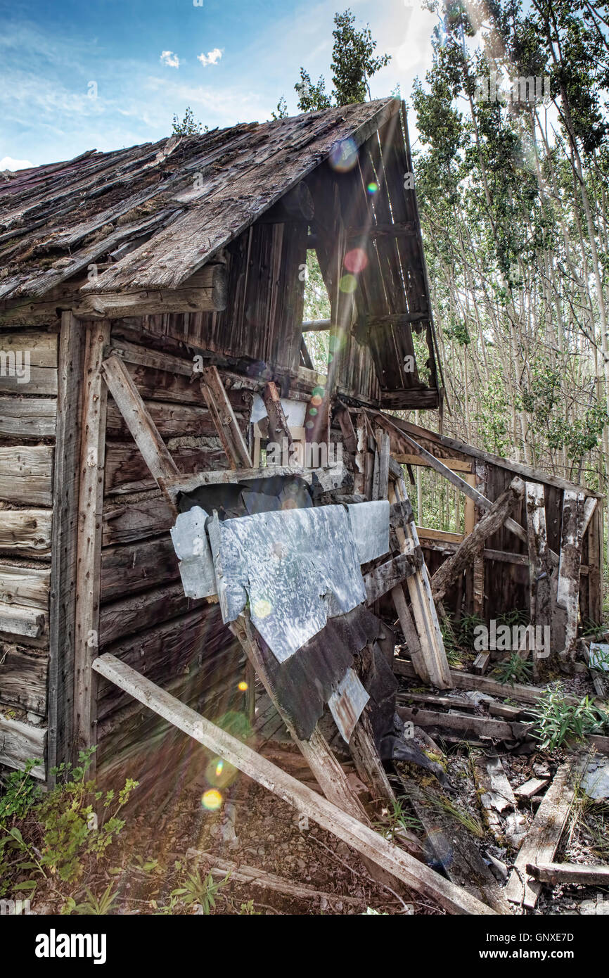 Old abandoned gold miner's shack in Canada near Atlin British Columbia ...
