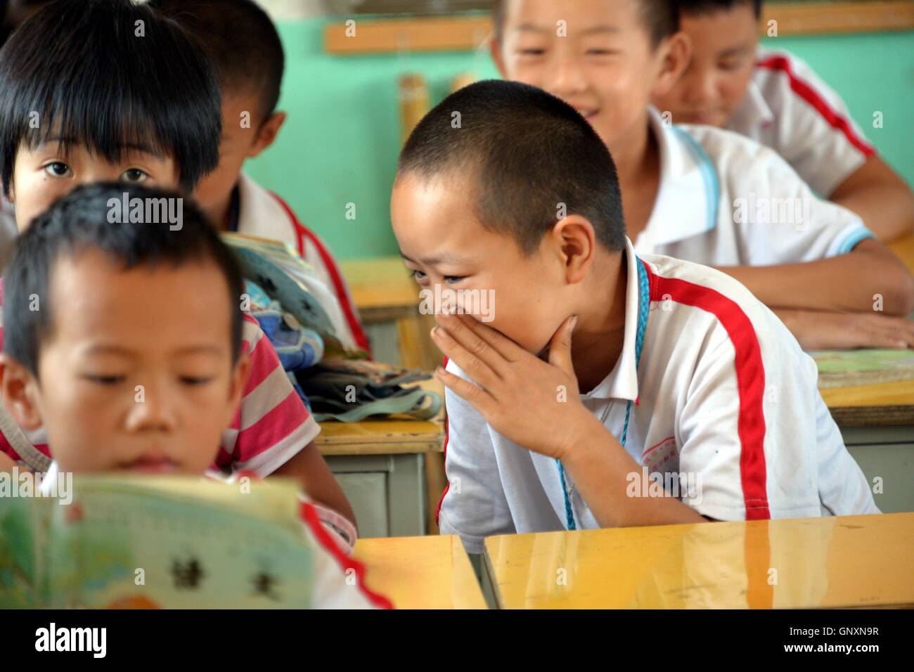 Deskmate hi-res stock photography and images - Alamy