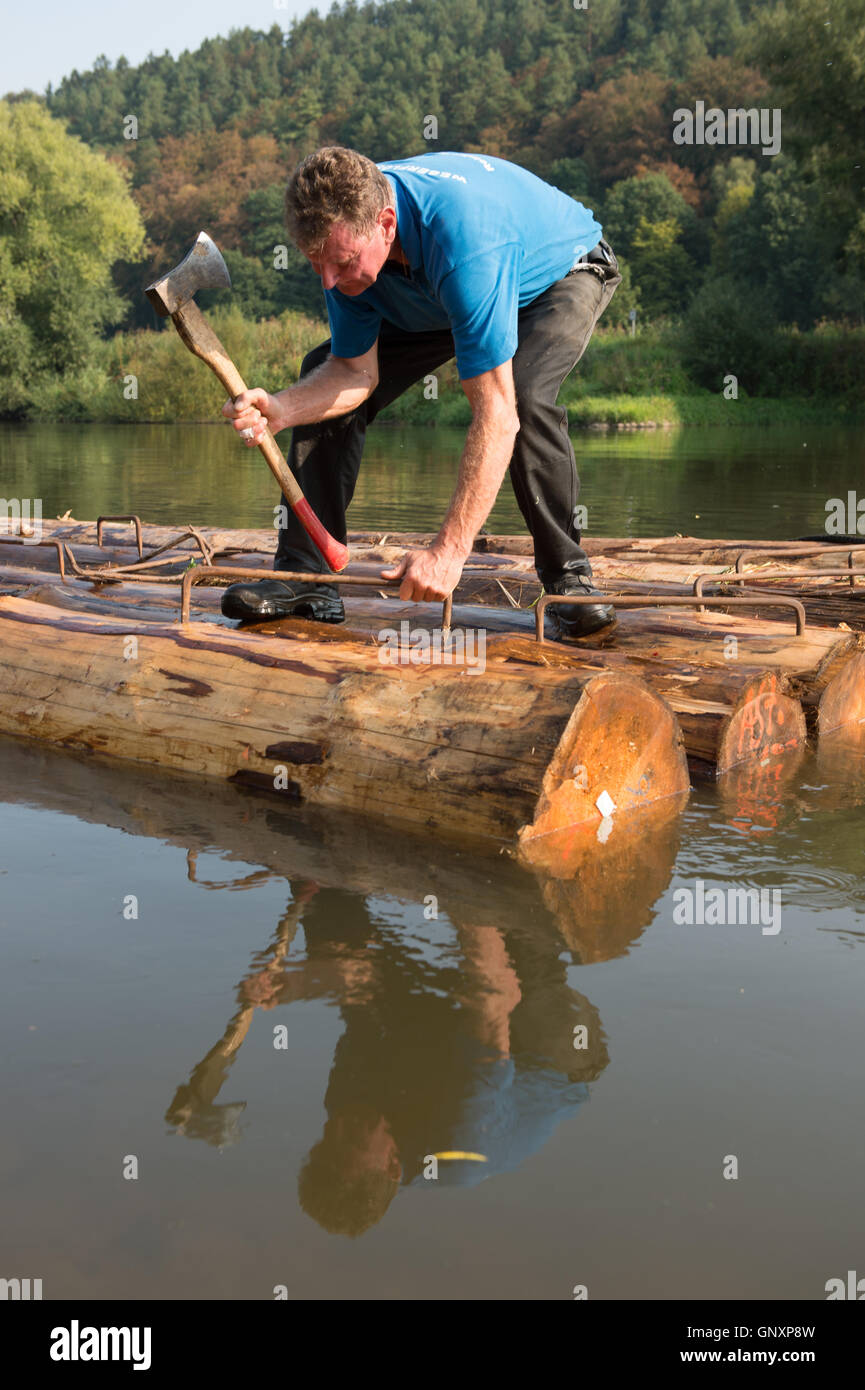 200 trunks hi-res stock photography and images - Alamy