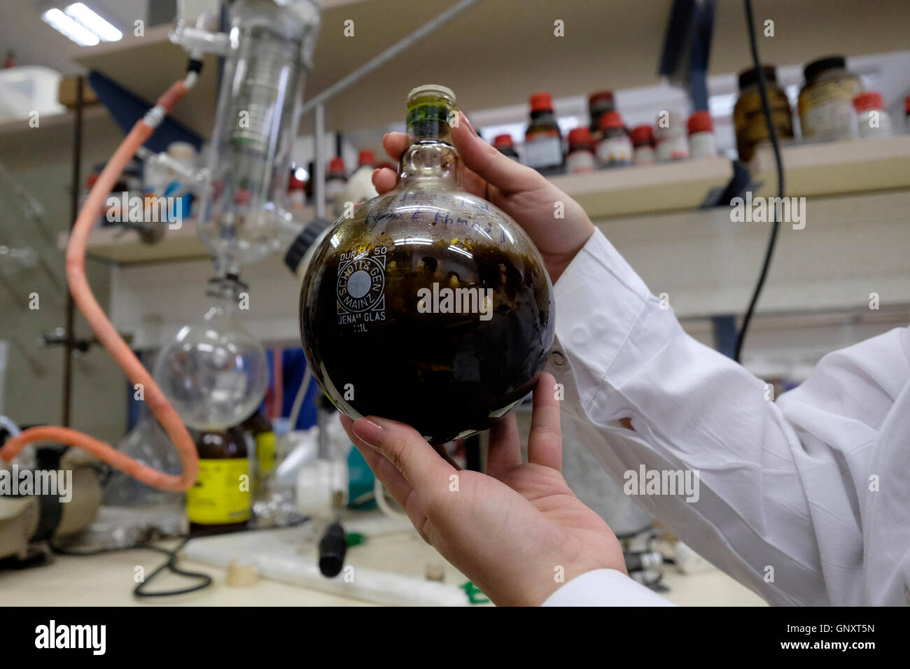 Israel university laboratory hi-res stock photography and images - Alamy