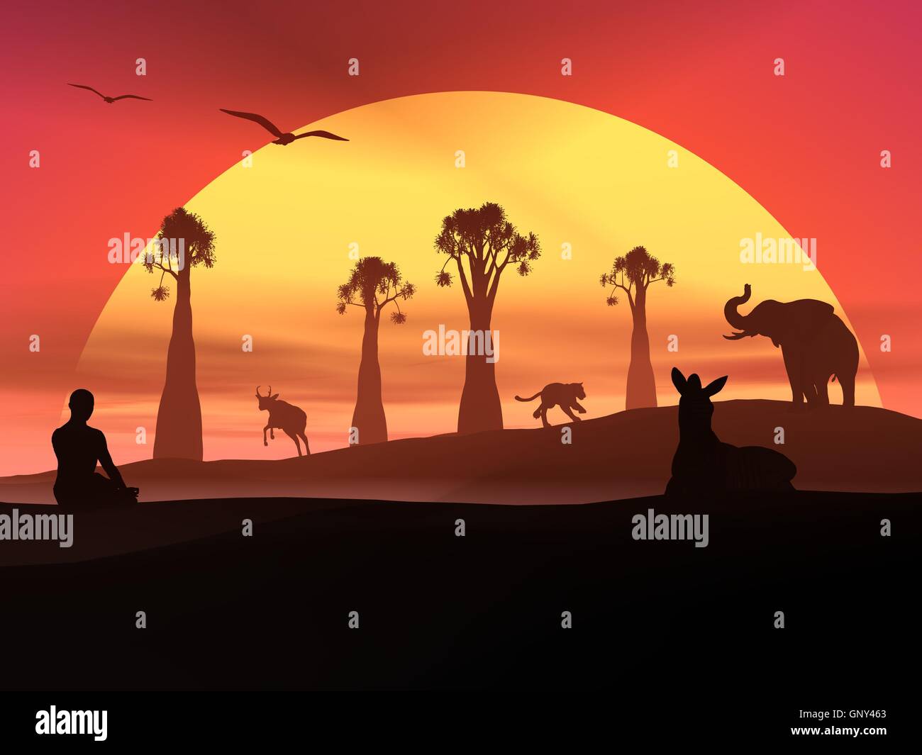 Meditating bird hi-res stock photography and images - Alamy