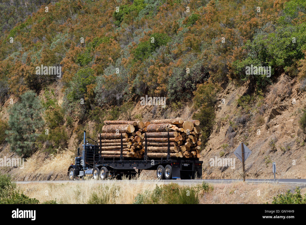 Truck loaded with tree trunks on Highway. California. USA Stock Photo ...