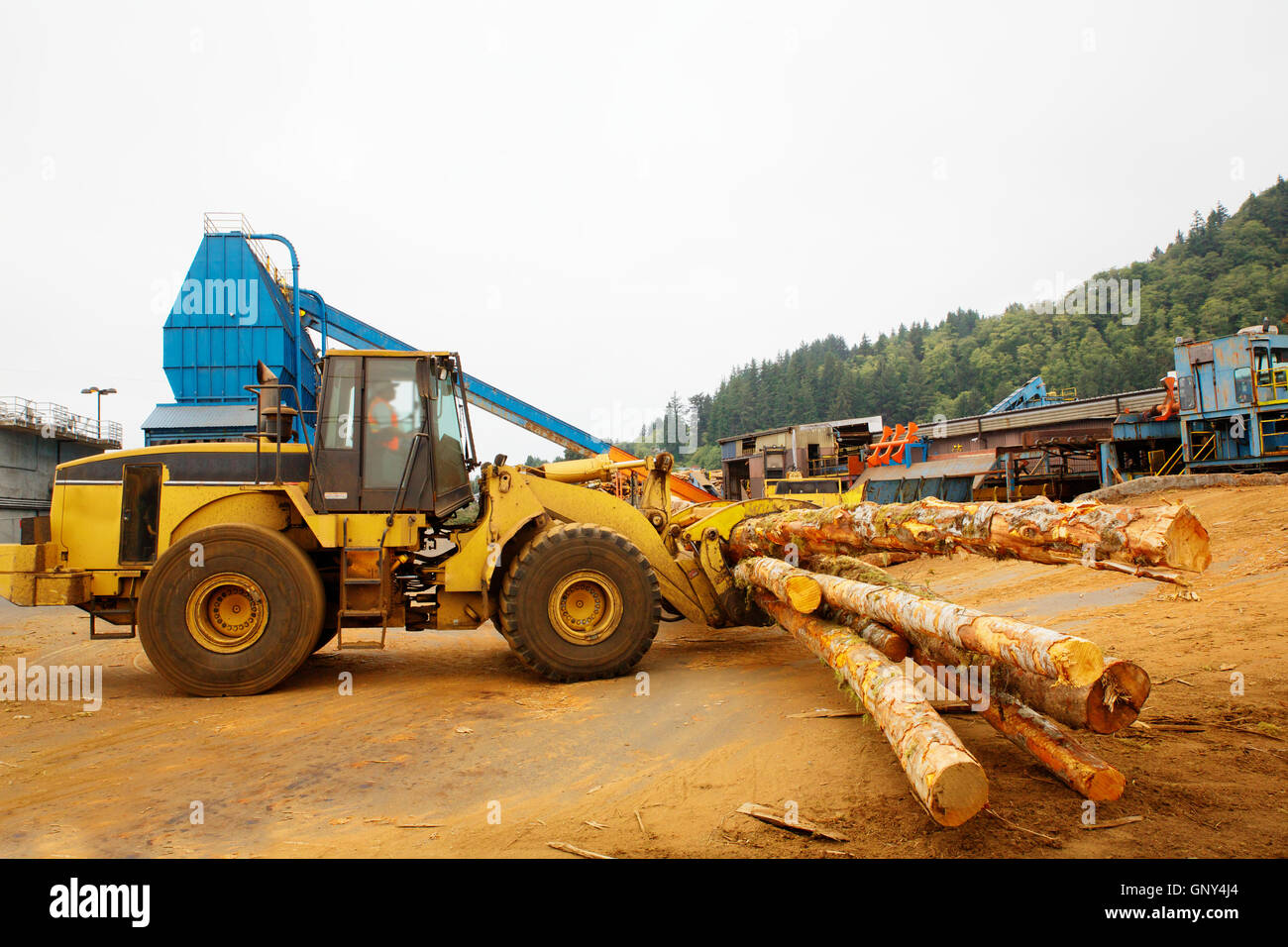 Logging Forklift at Mill Stock Photo - Alamy